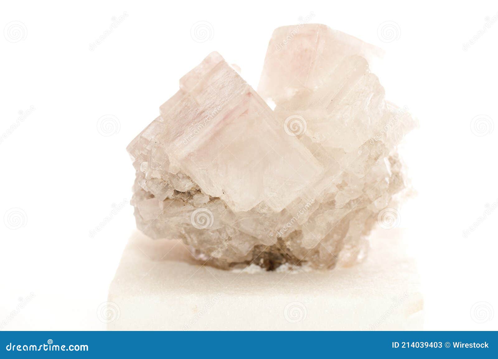Halite mineral sample stock image. Image of earth, collector - 214039403