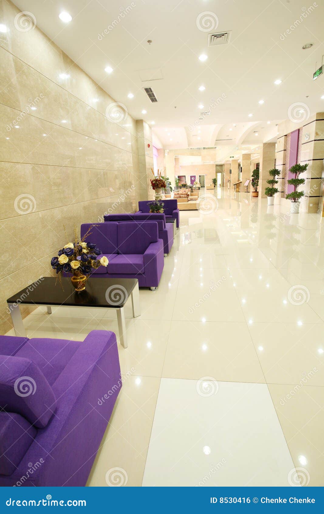 Hall stock photo. Image of furniture, waiting, estate - 8530416