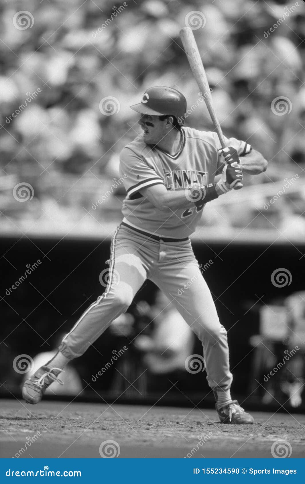 Hall Morris Cincinnati Reds Editorial Image - Image of regular, morris ...