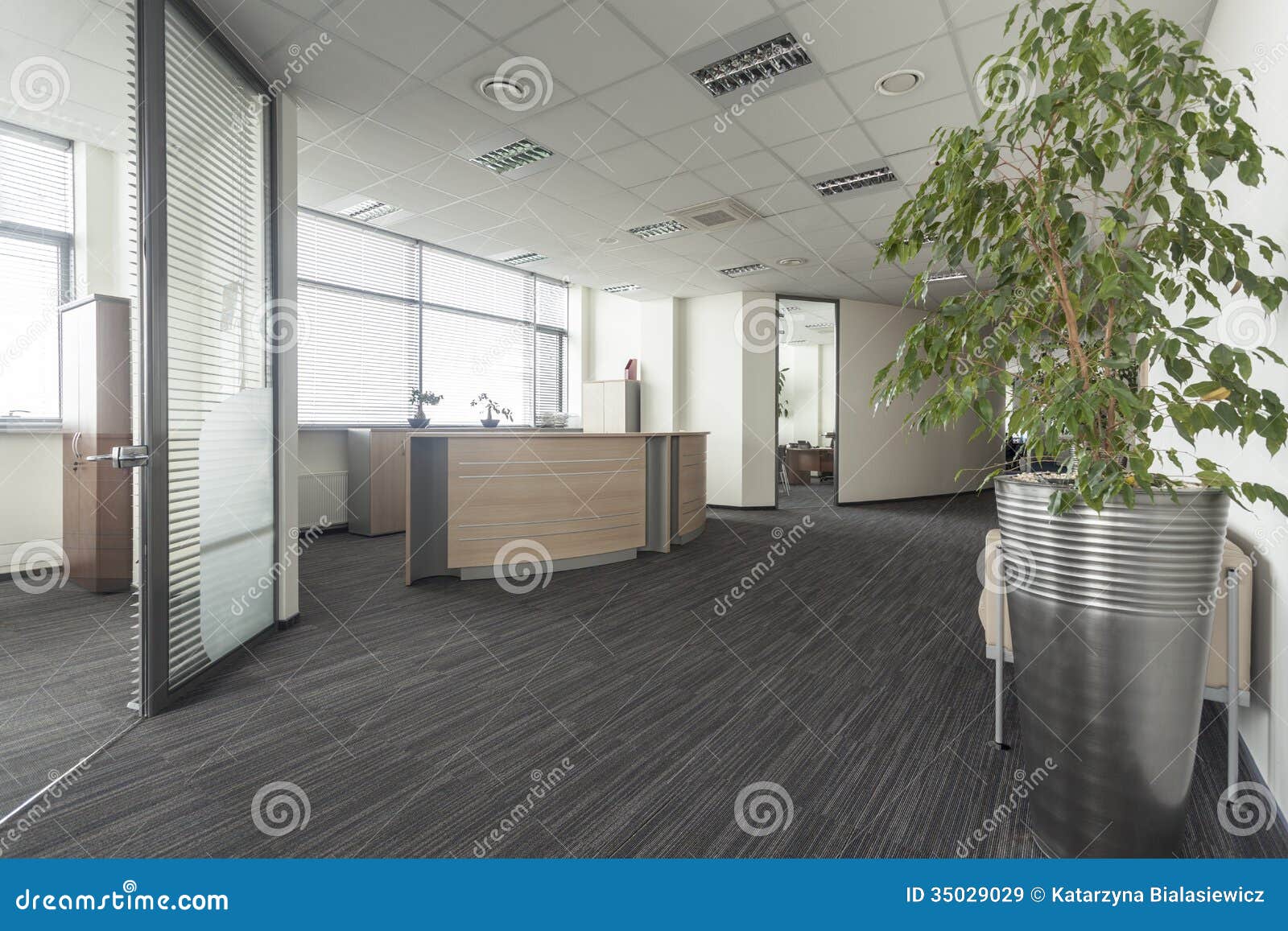 Hall in office stock image. Image of desk, corporate - 35029029