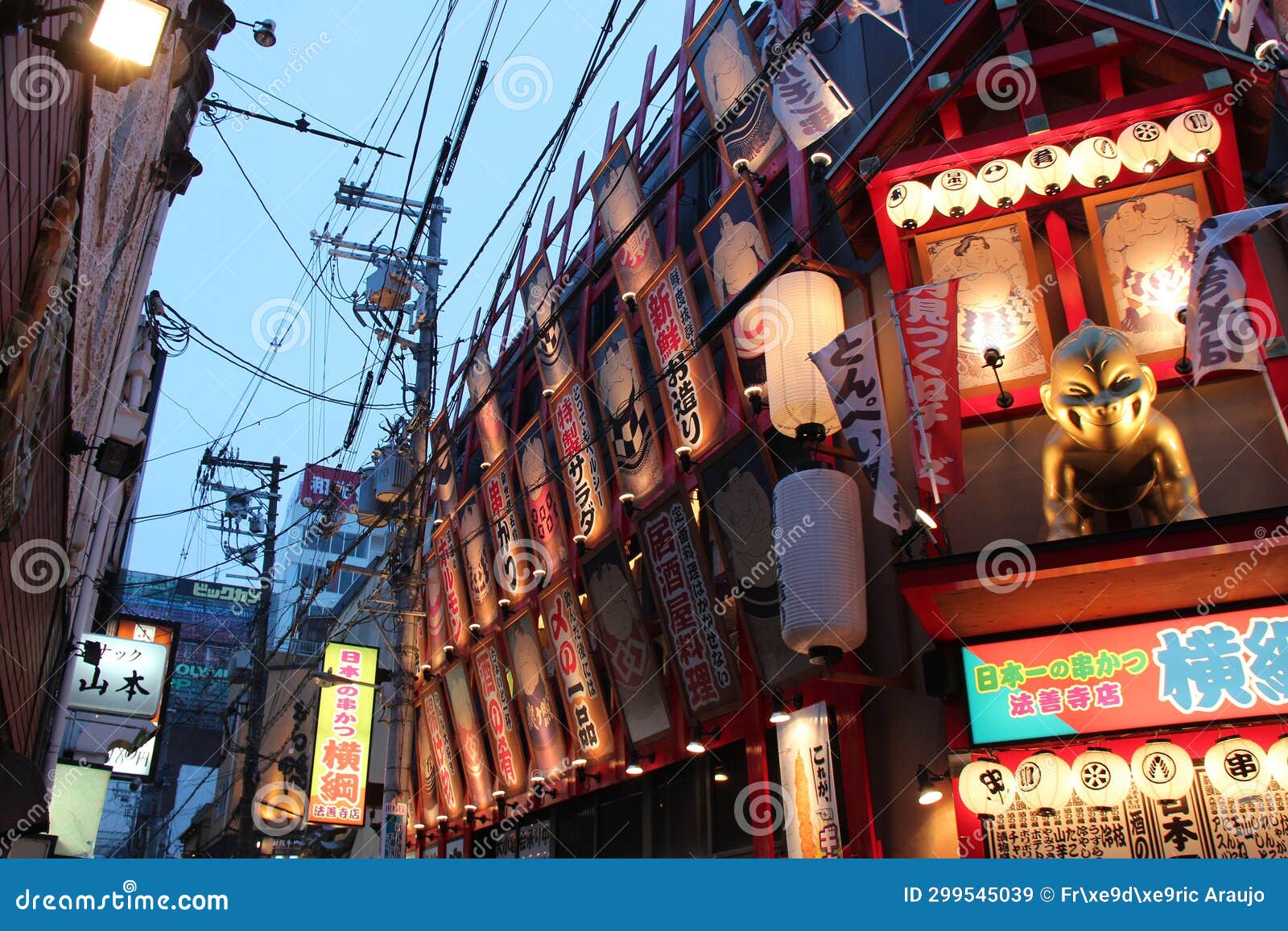 Hall (sumo Wrestling Building ?) in Osaka (japan) Editorial Stock Image ...