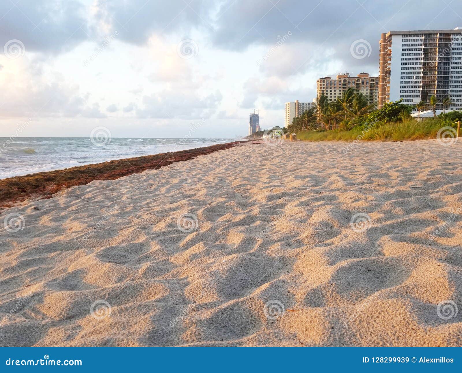 Hallandale Beach Florida Sandy Beach during Sunrise. Stock Image ...