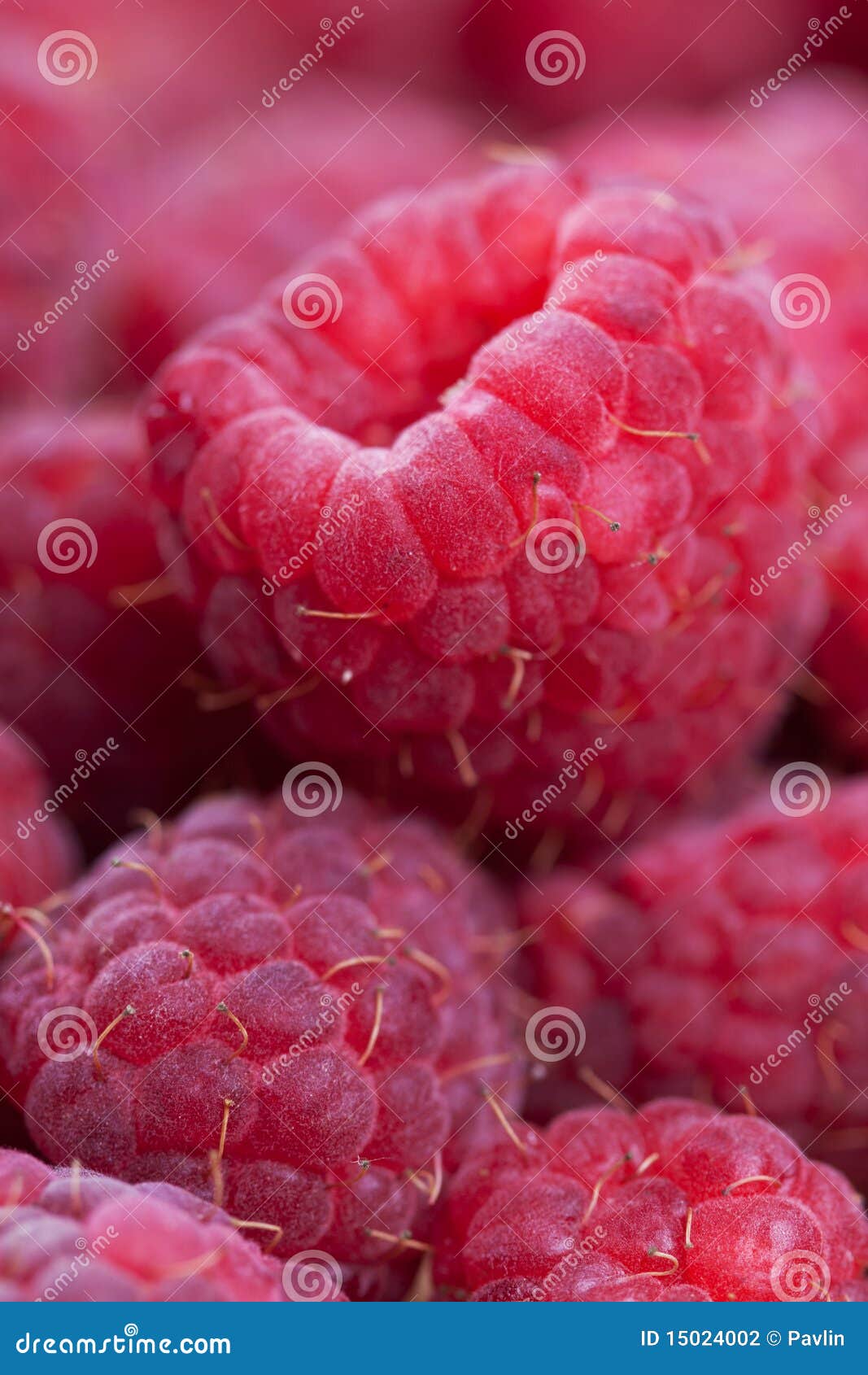 Hallon arkivfoto. Bild av efterrätt, inget, frukt, färg - 15024002