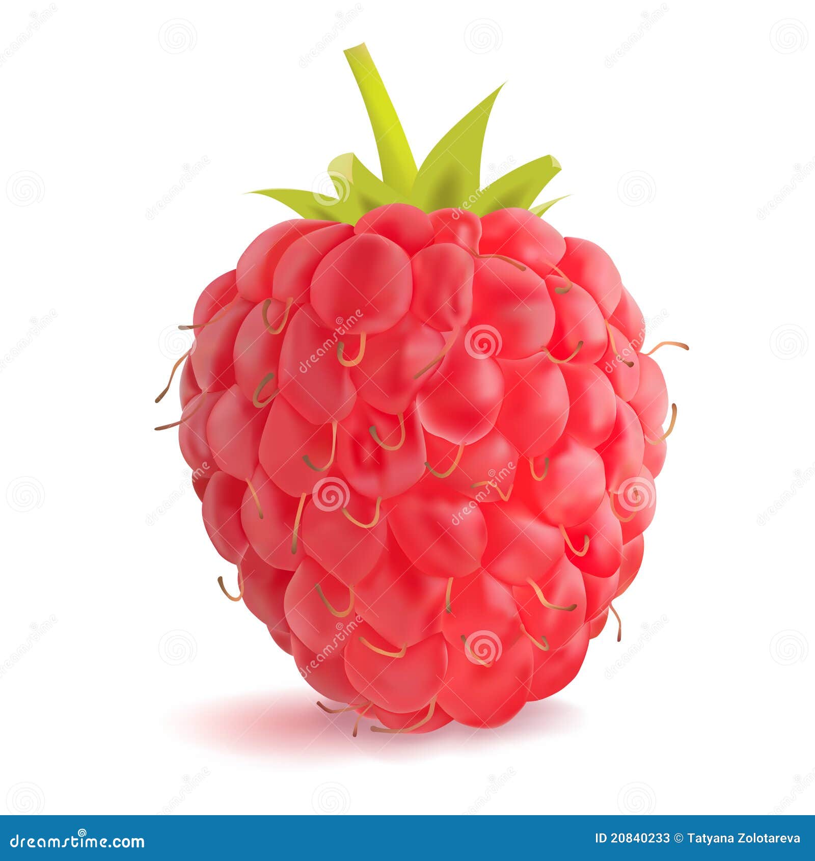 Hallon vektor illustrationer. Illustration av glädje - 20840233