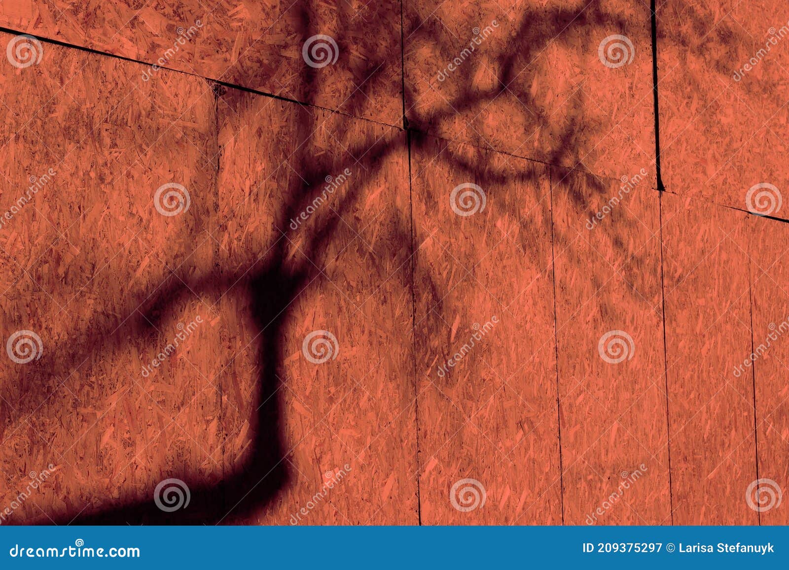 Halloween Abstract Shadow Pattern of Tree Branches Stock Image - Image ...