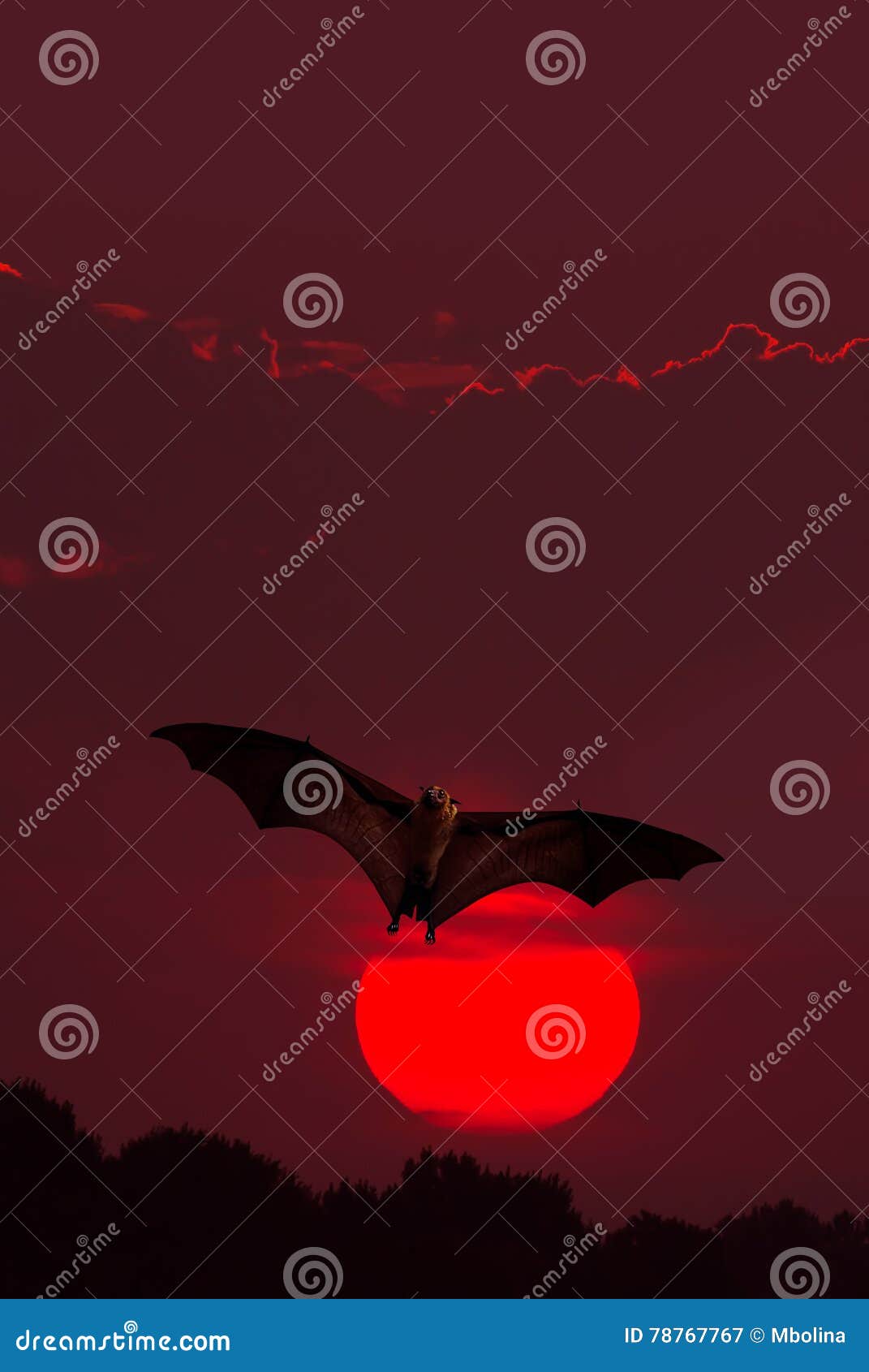 Halloween Background with Flying Bat Stock Image - Image of flying ...