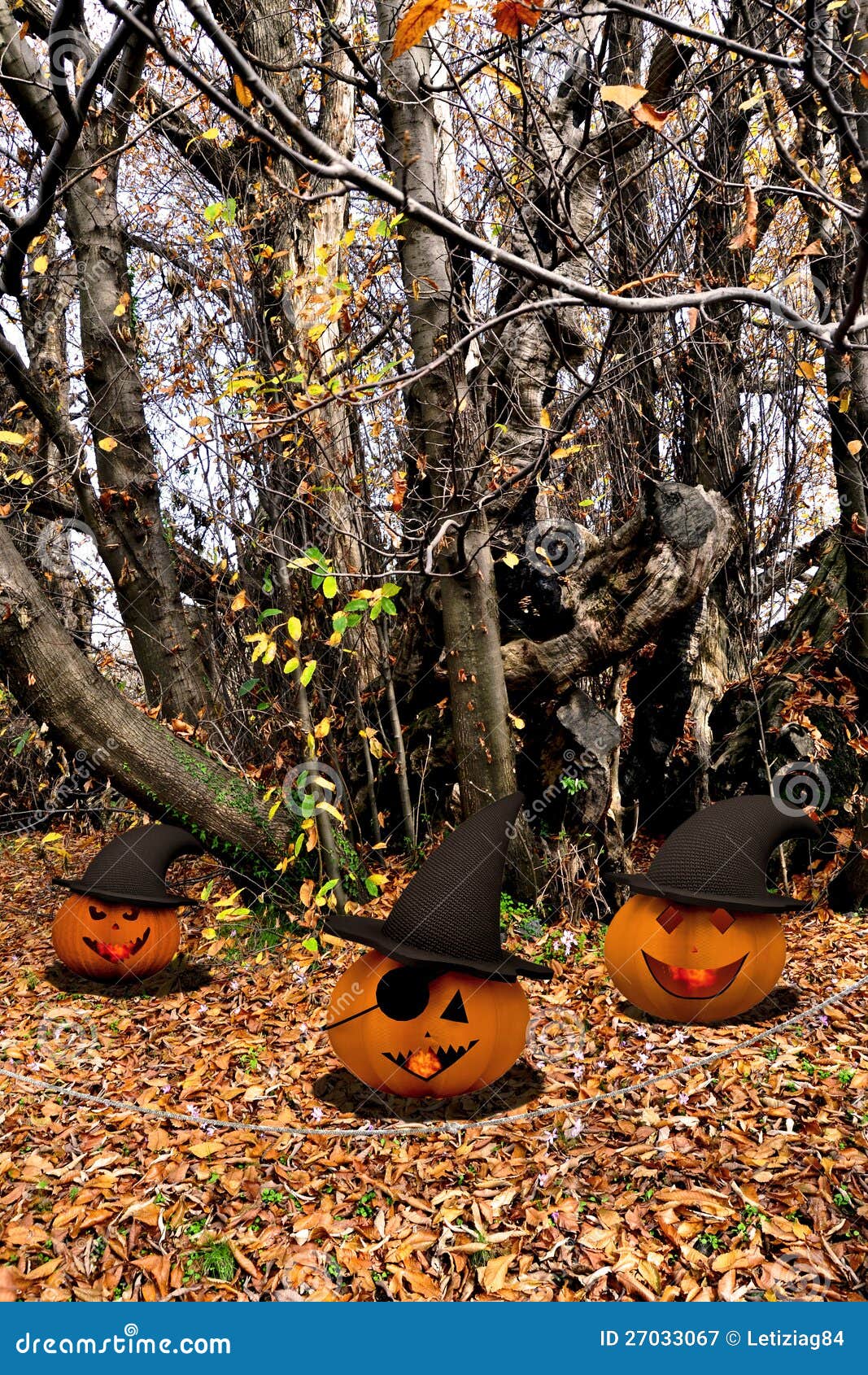 Halloween Background - Pumpkins and Trees Stock Image - Image of ...