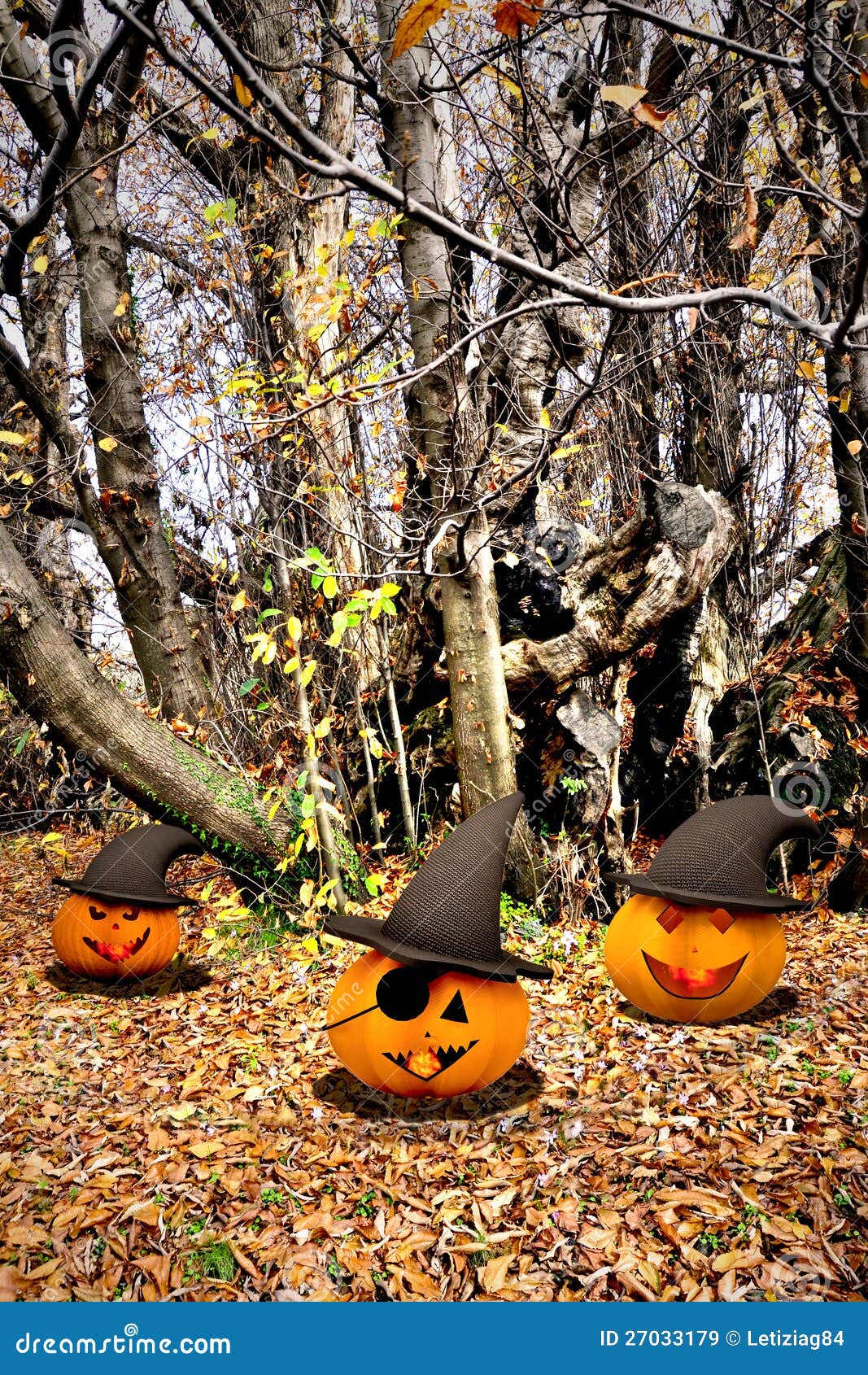 Halloween Background - Pumpkins and Trees Stock Image - Image of open ...