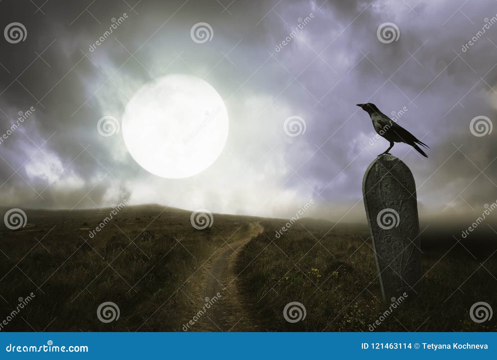 289 Raven Grave Stock Photos - Free & Royalty-Free Stock Photos from ...