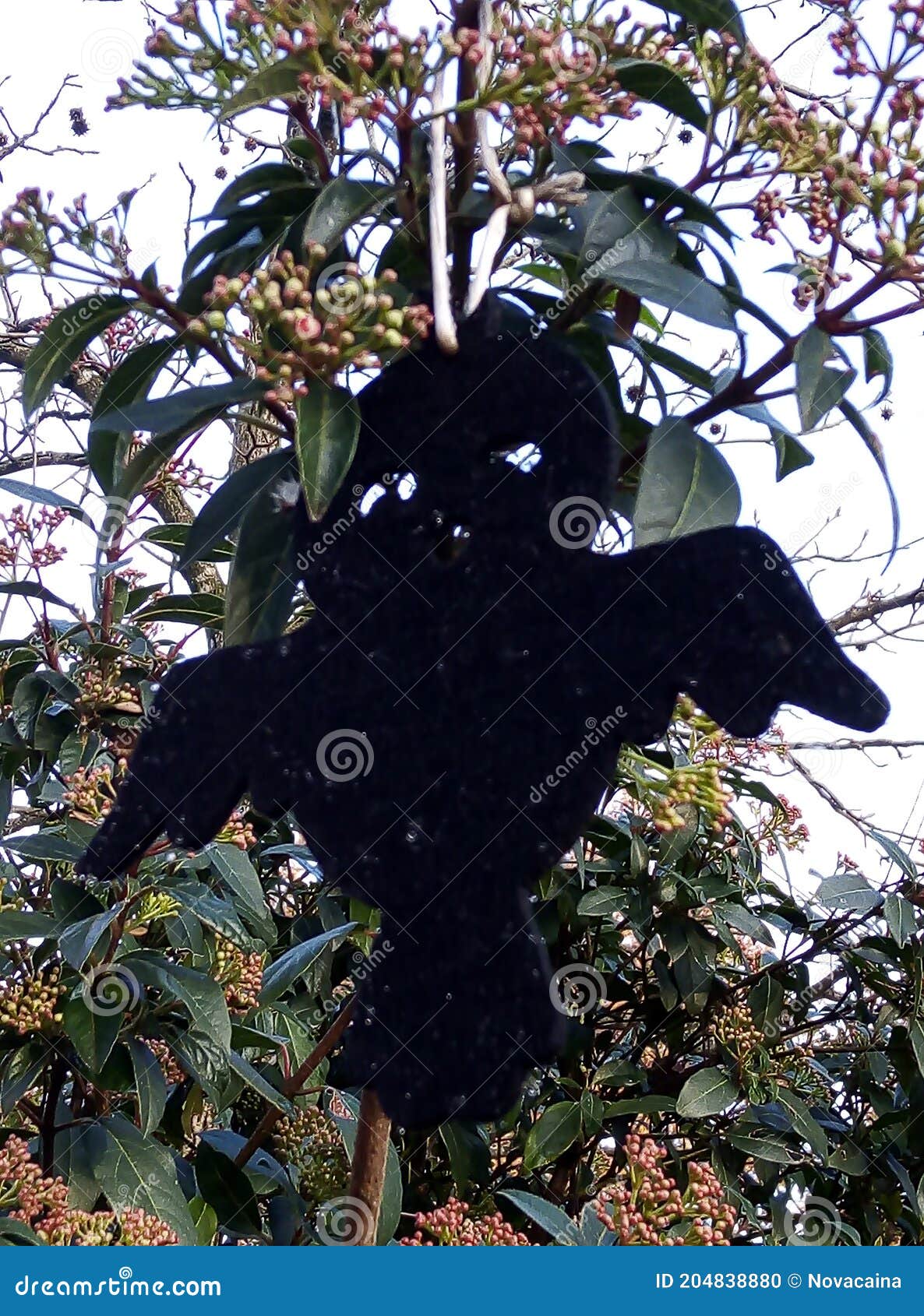 Halloween Black Ghost Up on a Tree Stock Photo - Image of black, fruit ...