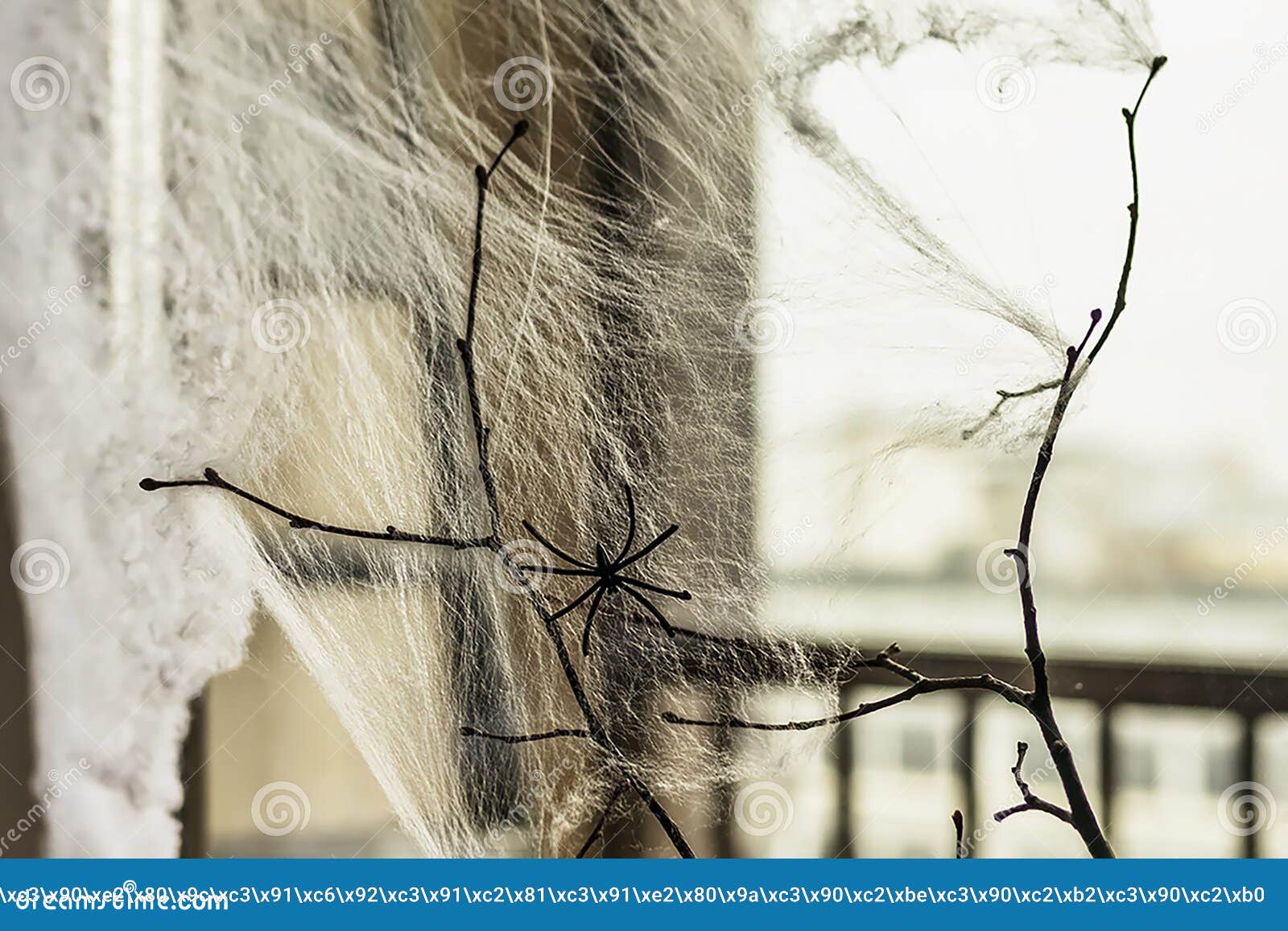 Halloween Concept, Decorated Window with Spider Web Stock Photo - Image ...