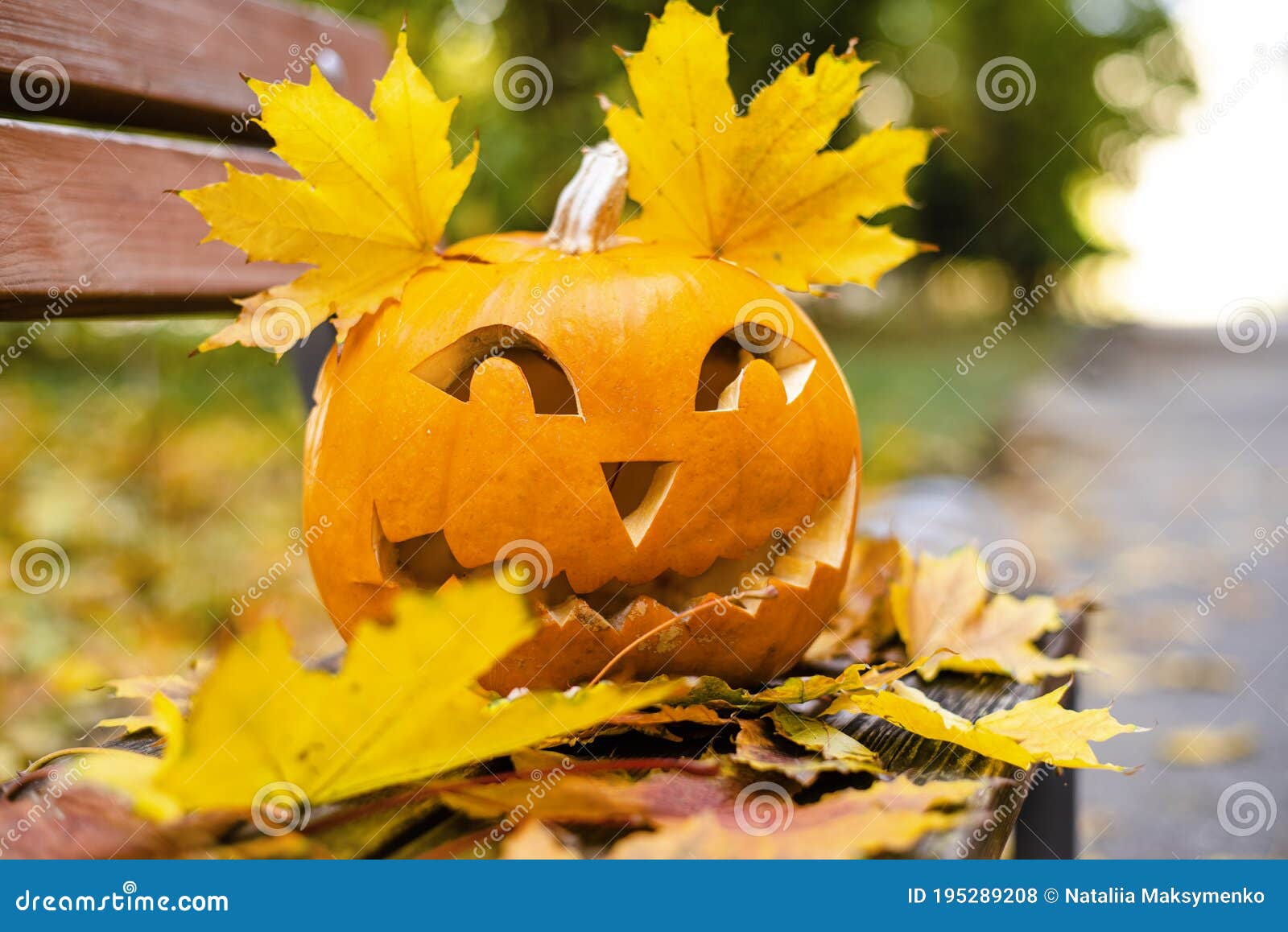 Halloween Concept. Orange Pumpkin for Halloween on a Bench Outside ...