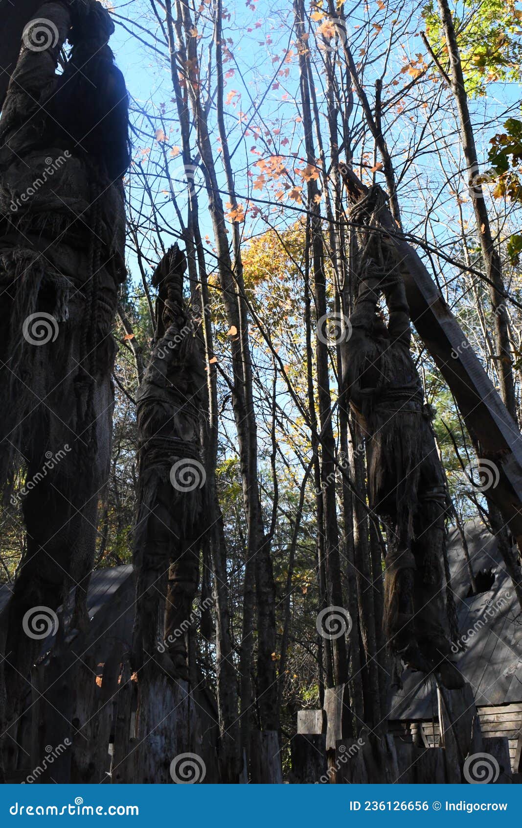 Hanged Pirates Stock Photos - Free & Royalty-Free Stock Photos from ...