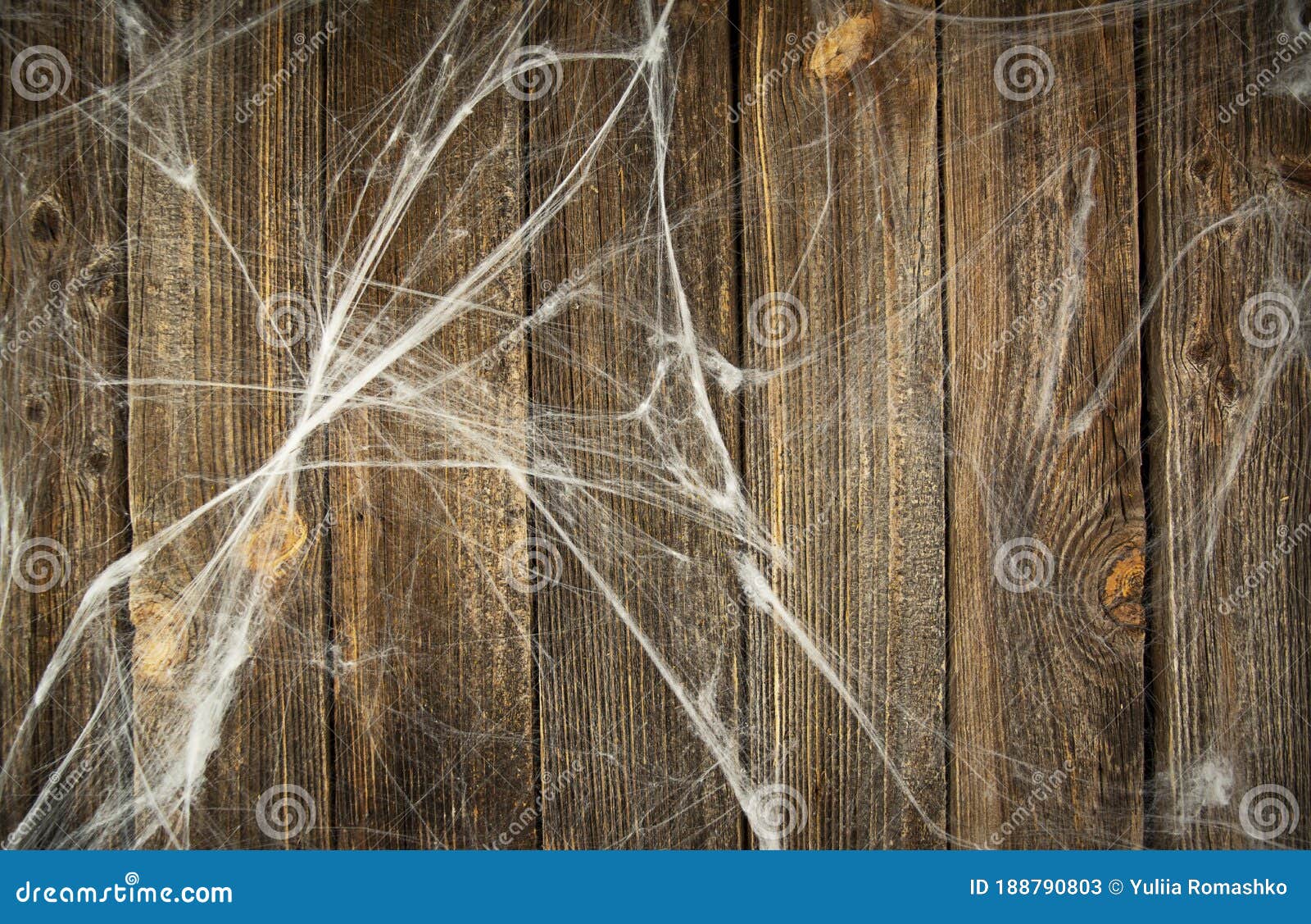 Halloween Creepy Cobweb Spiders Web with a Black Background Stock Image ...