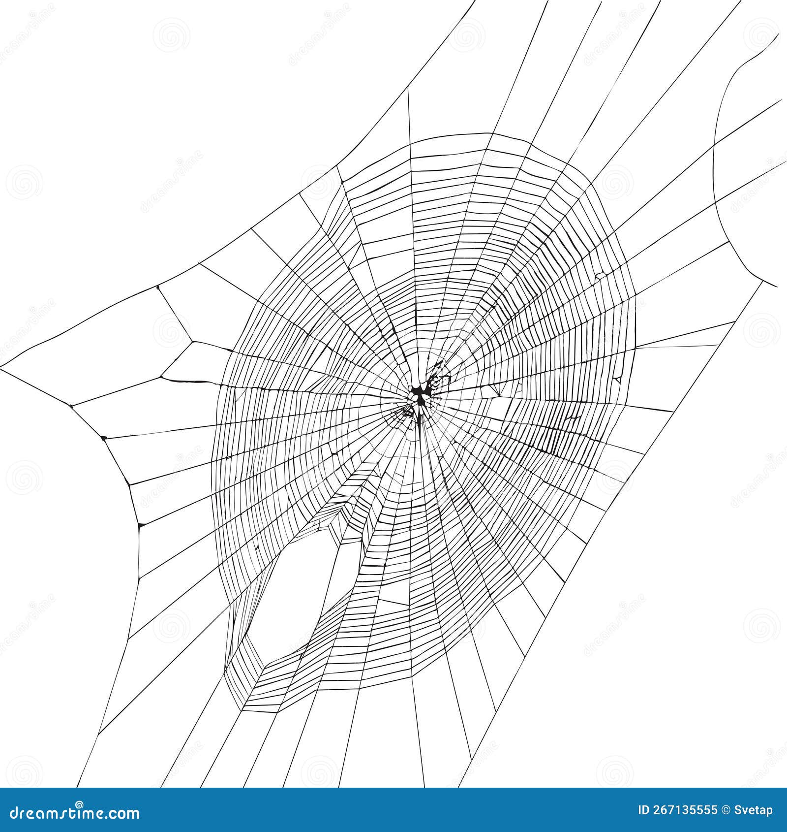 Halloween Decor, Net Spider Cobweb, Hand Drawn Vector Illustration ...