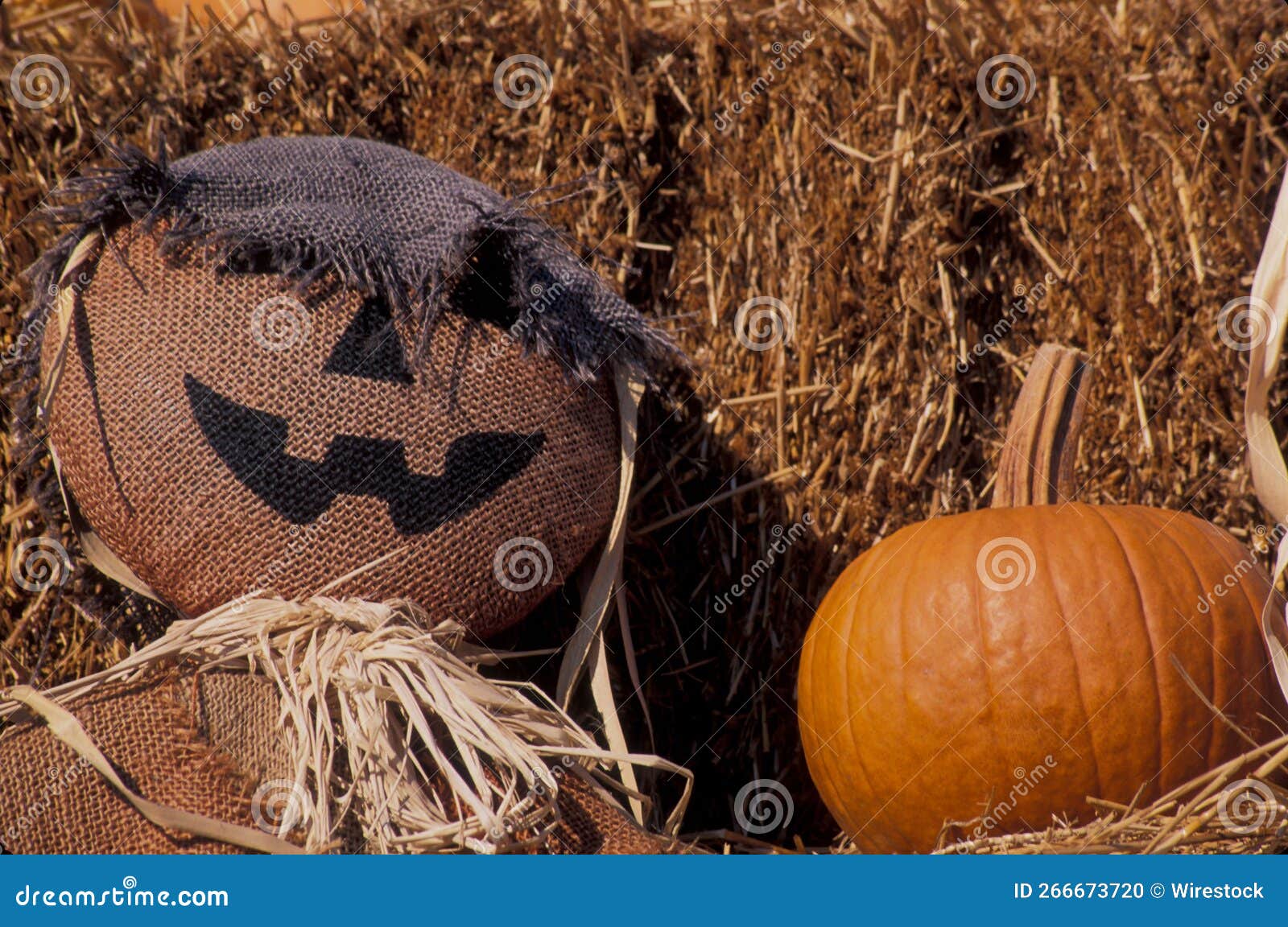 Halloween Decoration on a Hay Stock Photo - Image of decorative, fear ...