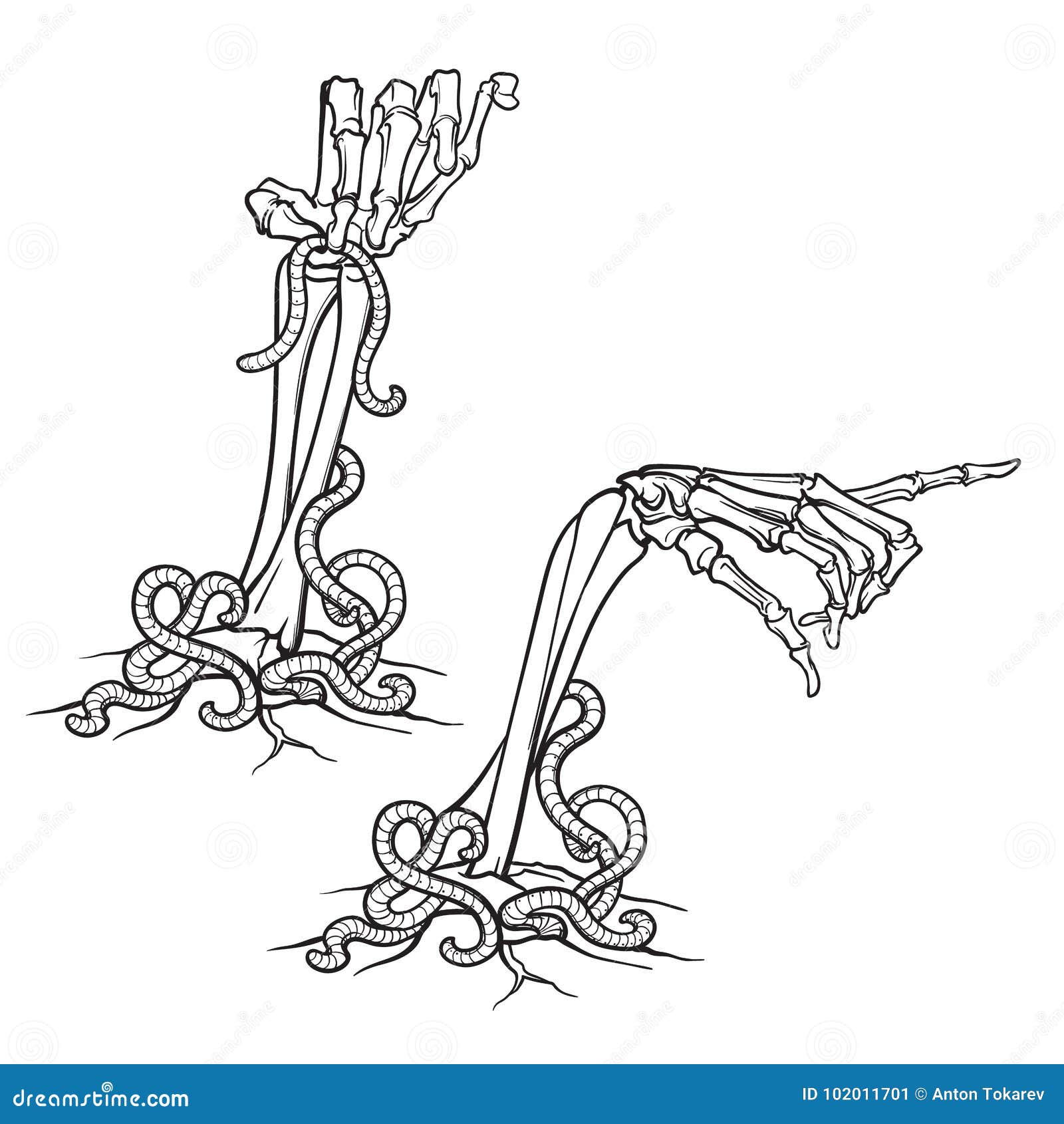 Halloween Design Elements. Pair of Skeleton Hands Pointing Stock Vector ...