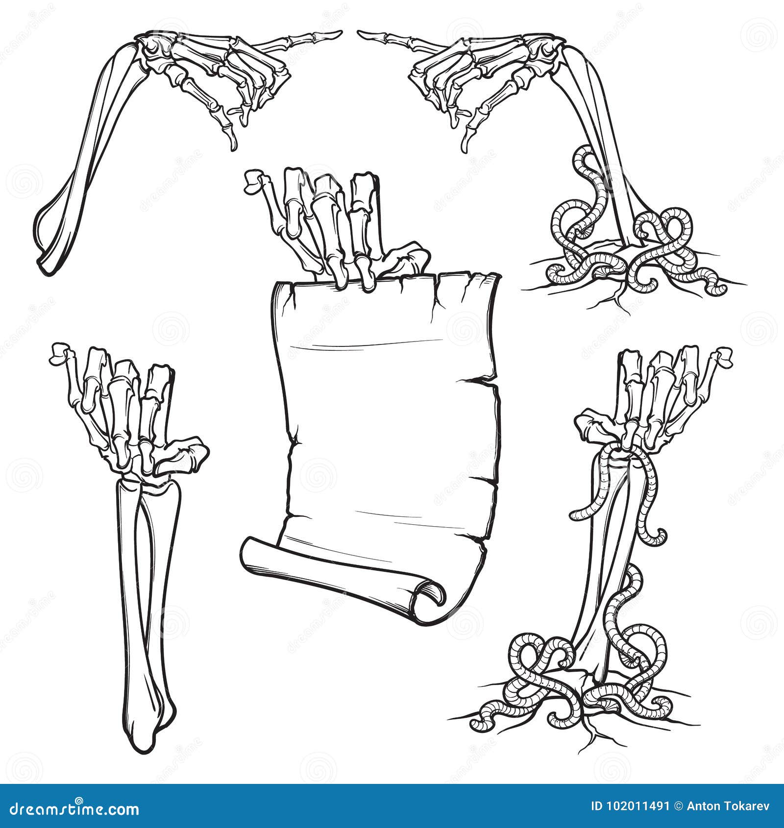 Skeleton Hand Holding Drawing