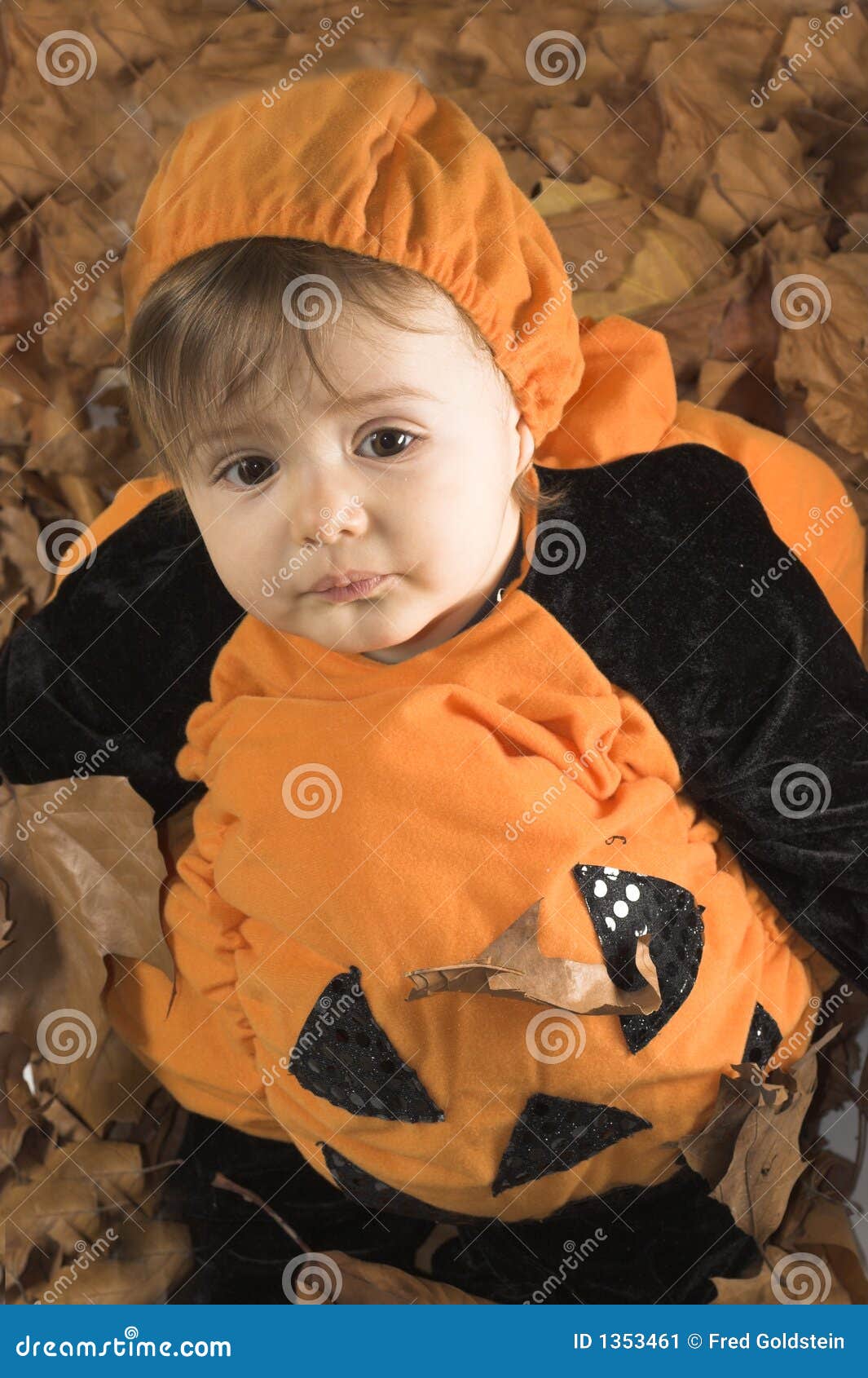 Halloween disguise stock image. Image of childhood, adorable - 1353461