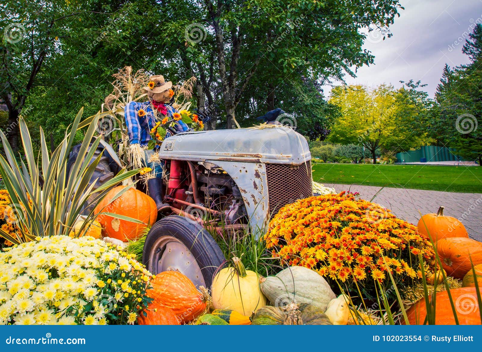 Halloween Display and Scarecrow Stock Photo - Image of agriculture ...