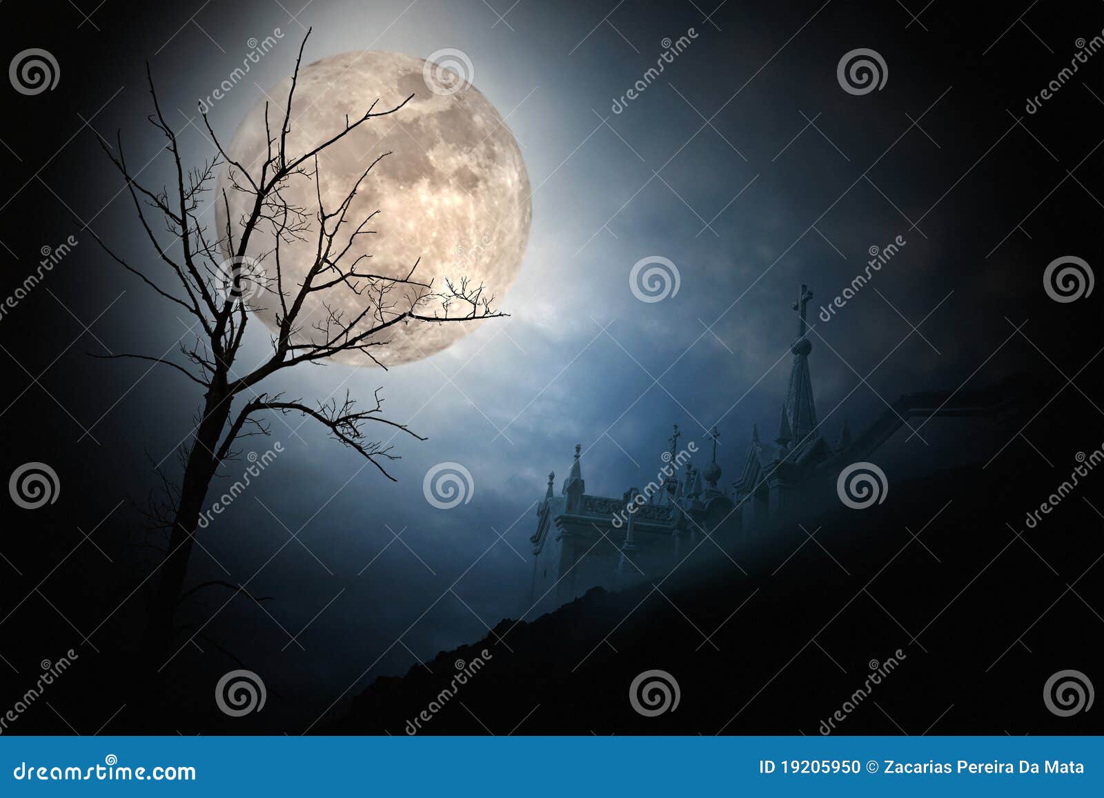 Halloween full moon stock photo. Image of dead, evil - 19205950