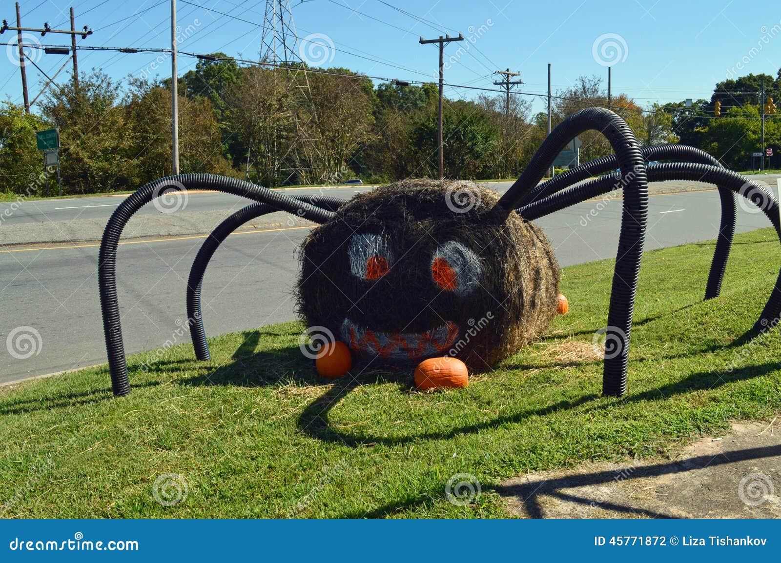 Halloween Hay Bale Spider En Pompoenen Stock Foto - Image of baal ...