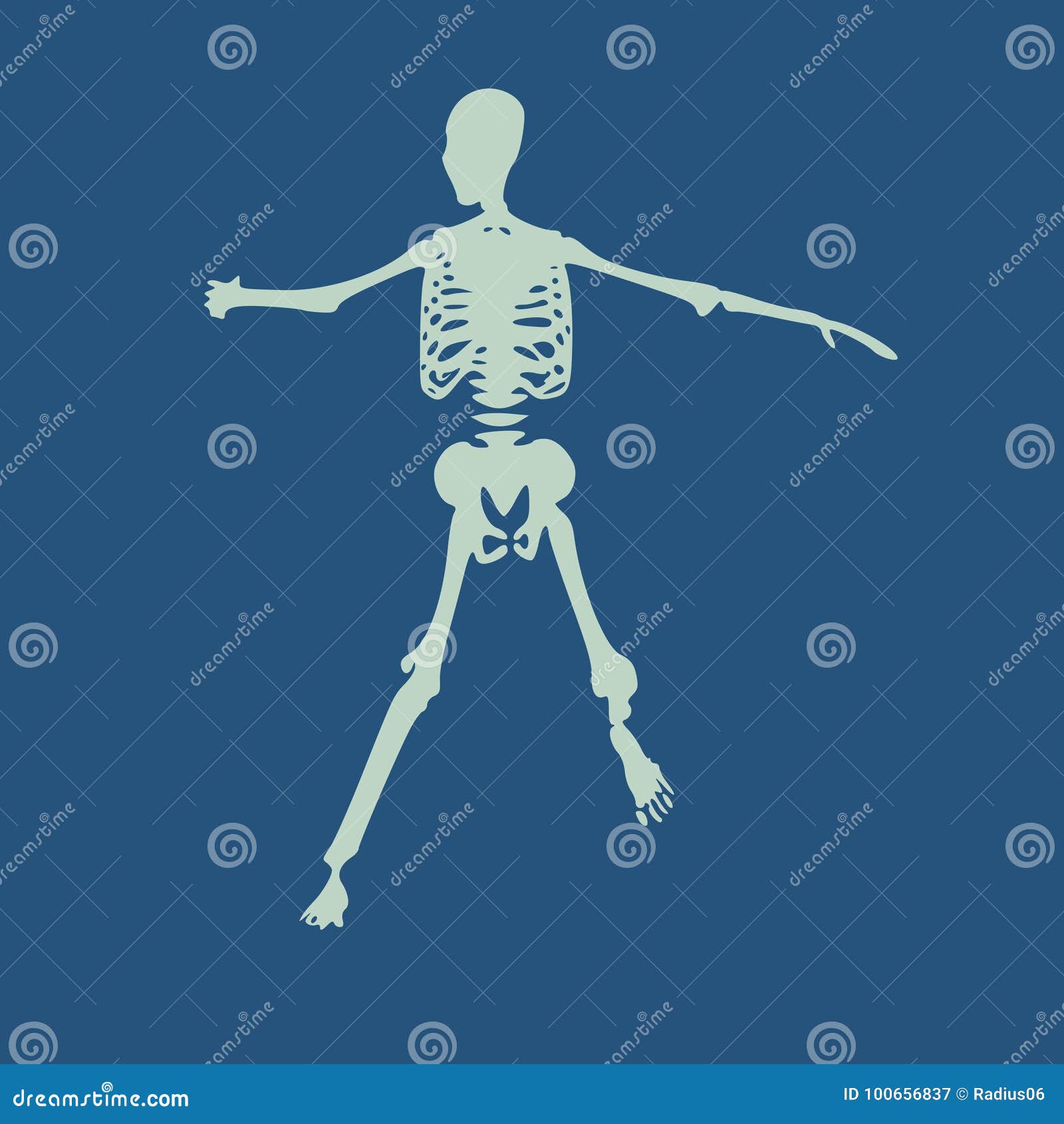 Halloween human skeleton stock vector. Illustration of pose - 100656837