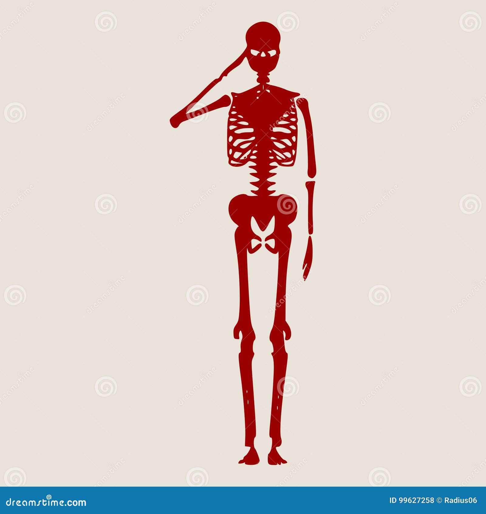 Halloween Human Skeleton Stock Vector Illustration Of Happy 99627258