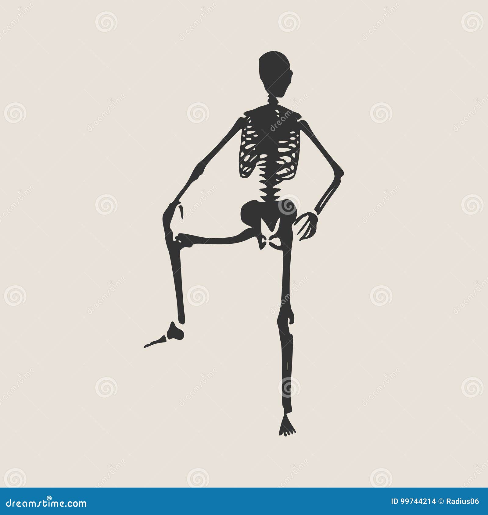 Halloween Human Skeleton Stock Vector Illustration Of Halloween 99744214