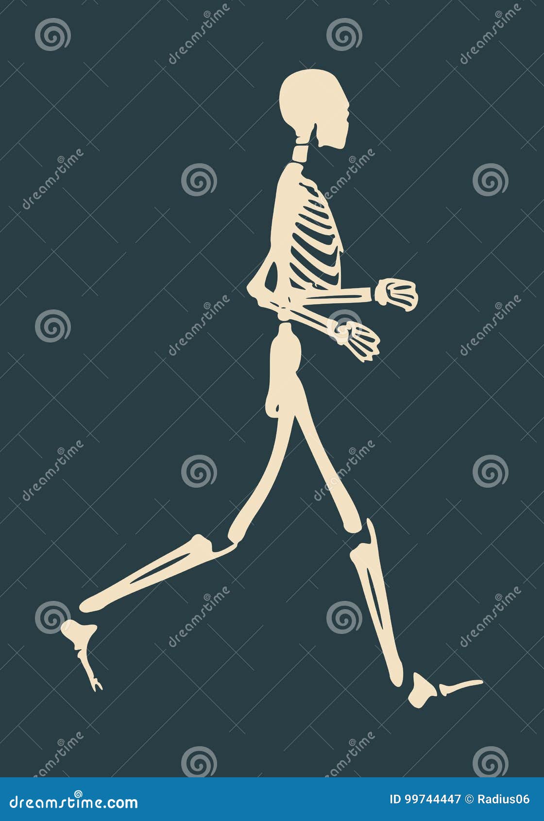 Running Skeleton Icon Stock Illustrations – 153 Running Skeleton Icon ...