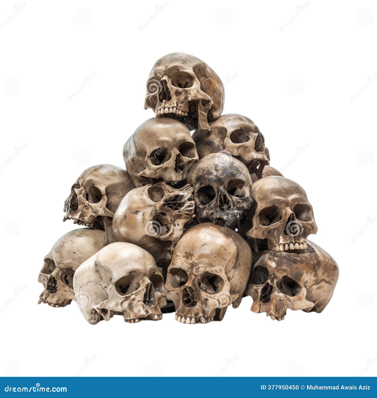 Halloween Human Skulls Stack On Transparent Background - Ai Generated ...