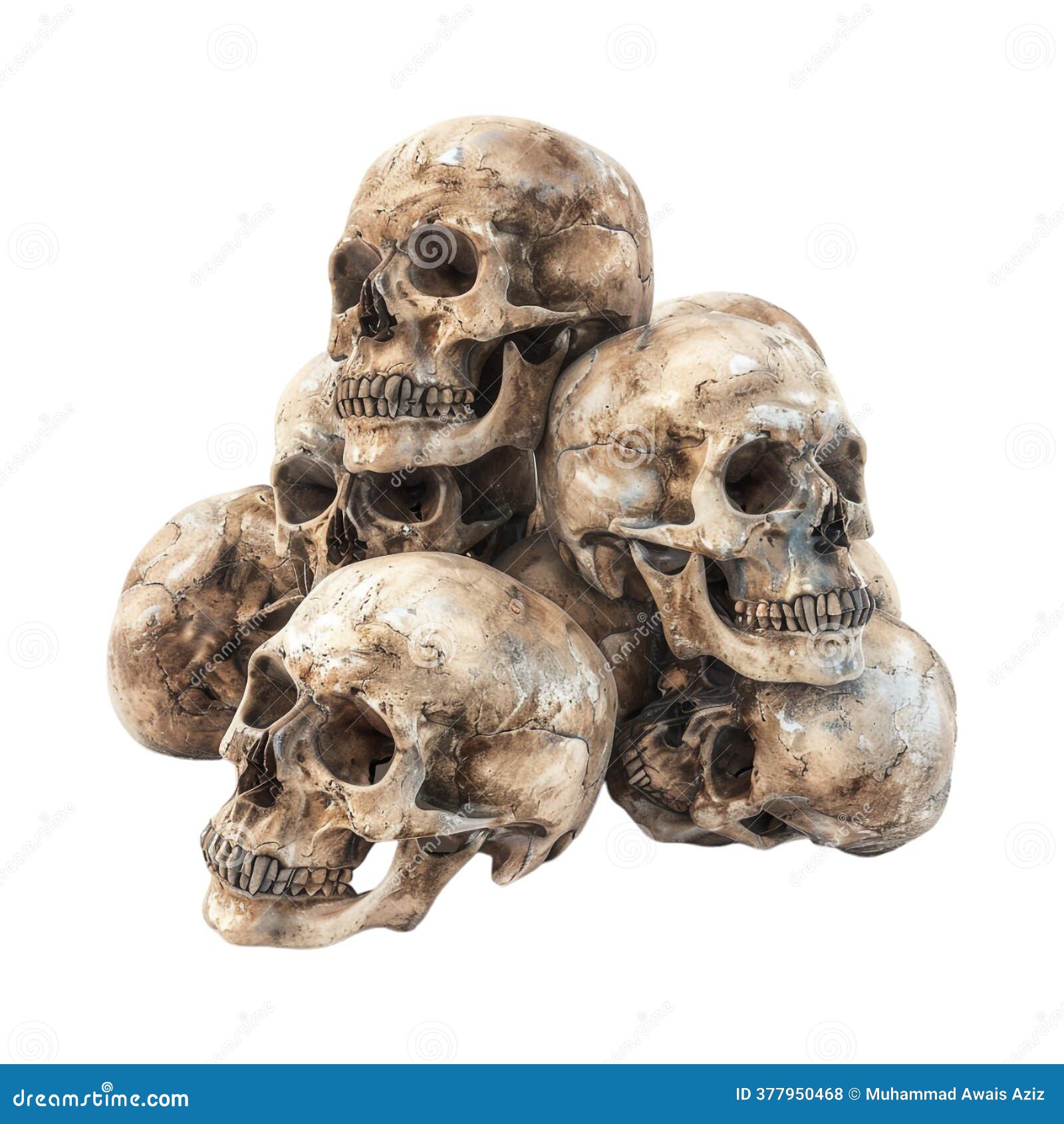 Halloween Human Skulls Stack On Transparent Background - Ai Generated ...