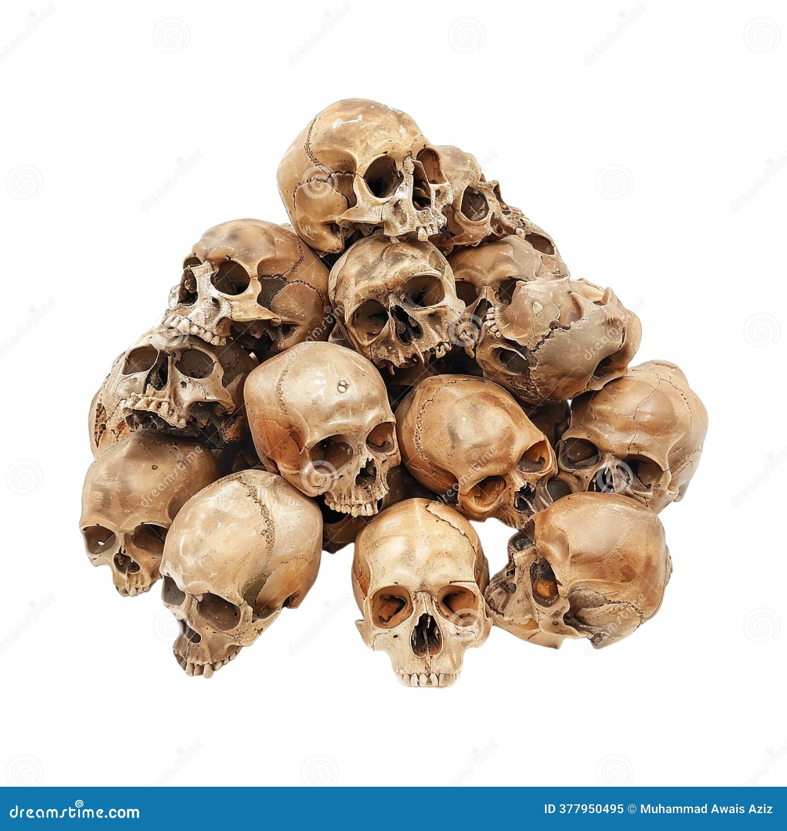 Halloween Human Skulls Stack On Transparent Background - Ai Generated ...