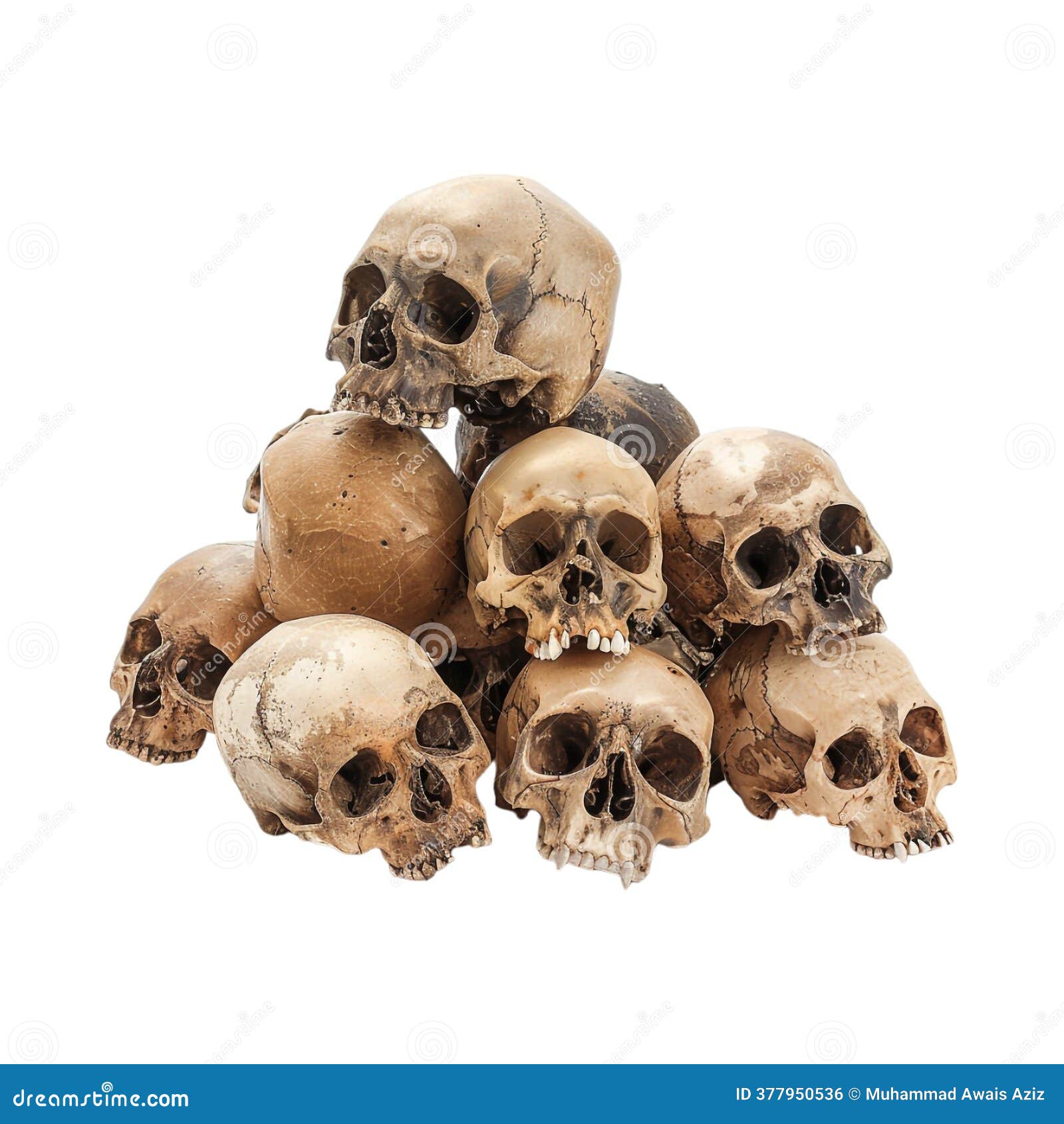 Halloween Human Skulls Stack On Transparent Background - Ai Generated ...