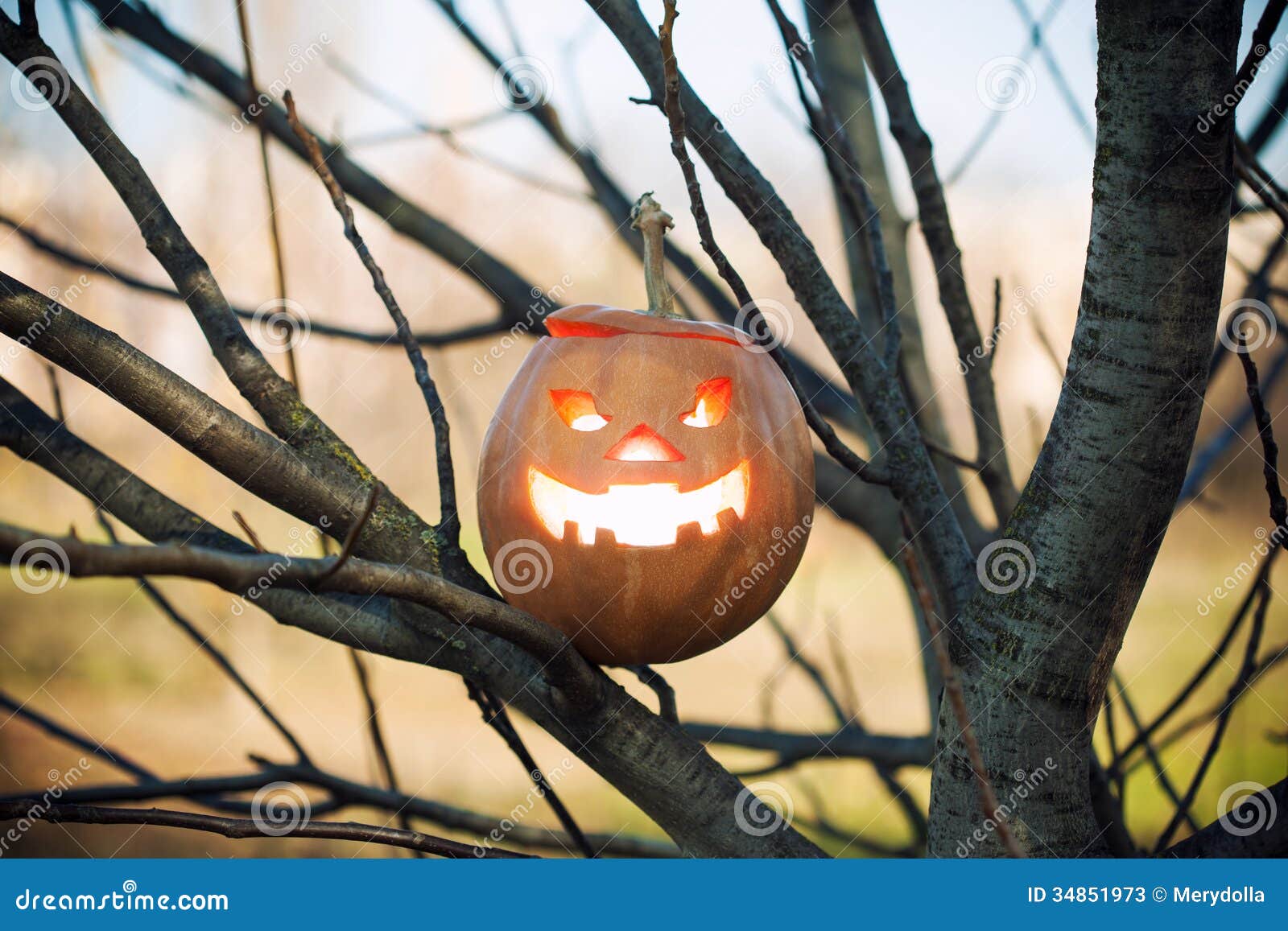Halloween jack-o-lantern stock image. Image of carved - 34851973
