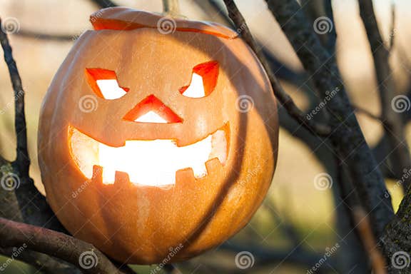 Halloween Jack-o-lantern on Tree Stock Photo - Image of decoration ...