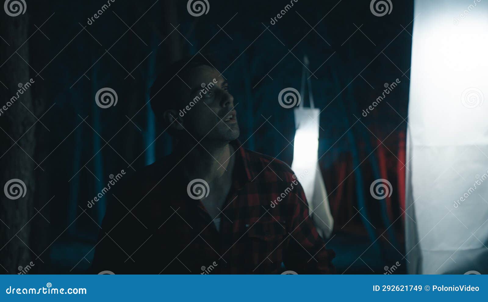 Bright Ghosts Illuminate Man in the Forest Stock Image - Image of ...