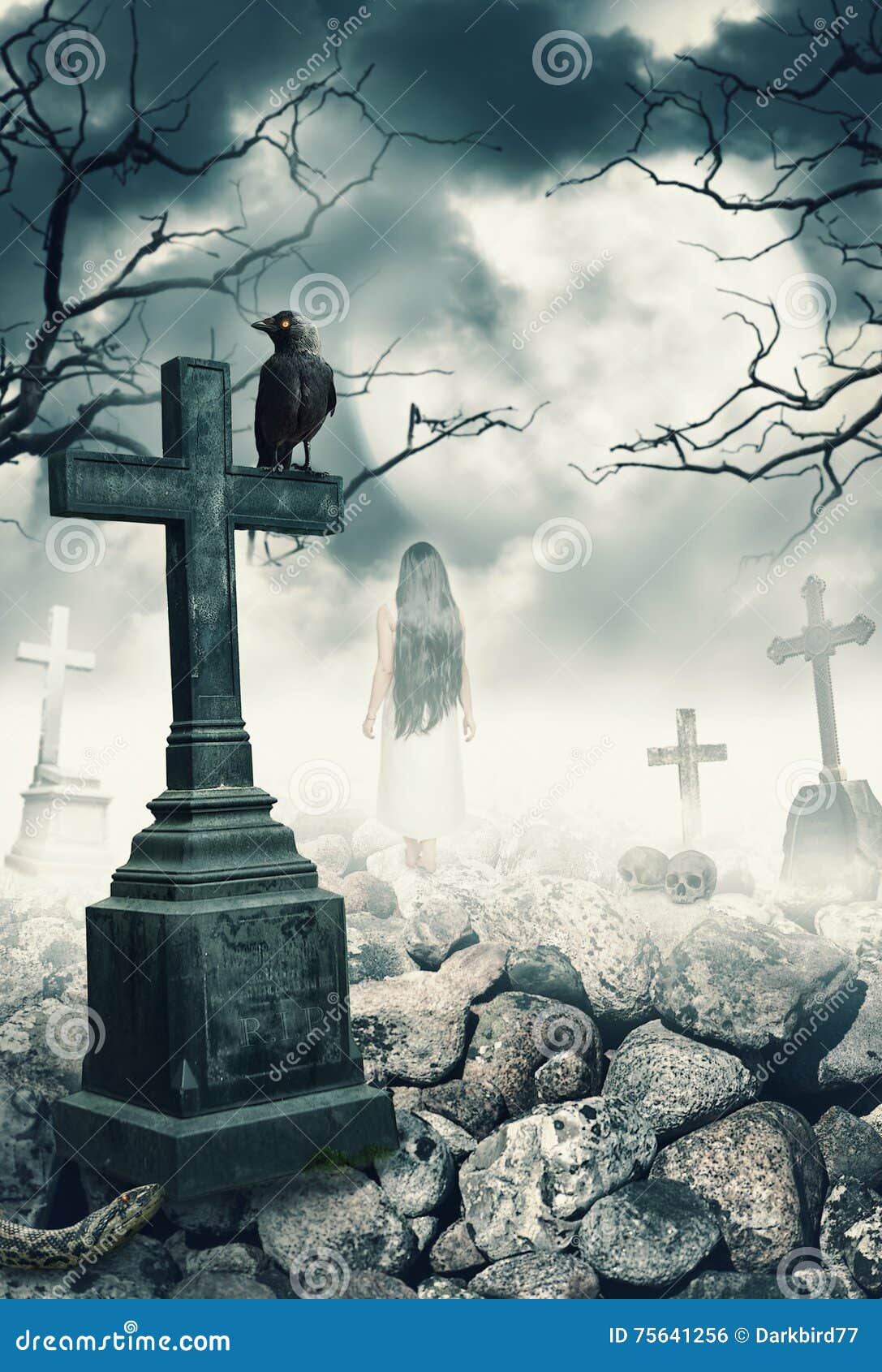 Halloween Mystical Spooky Background with Raven and Cross Stock Photo ...