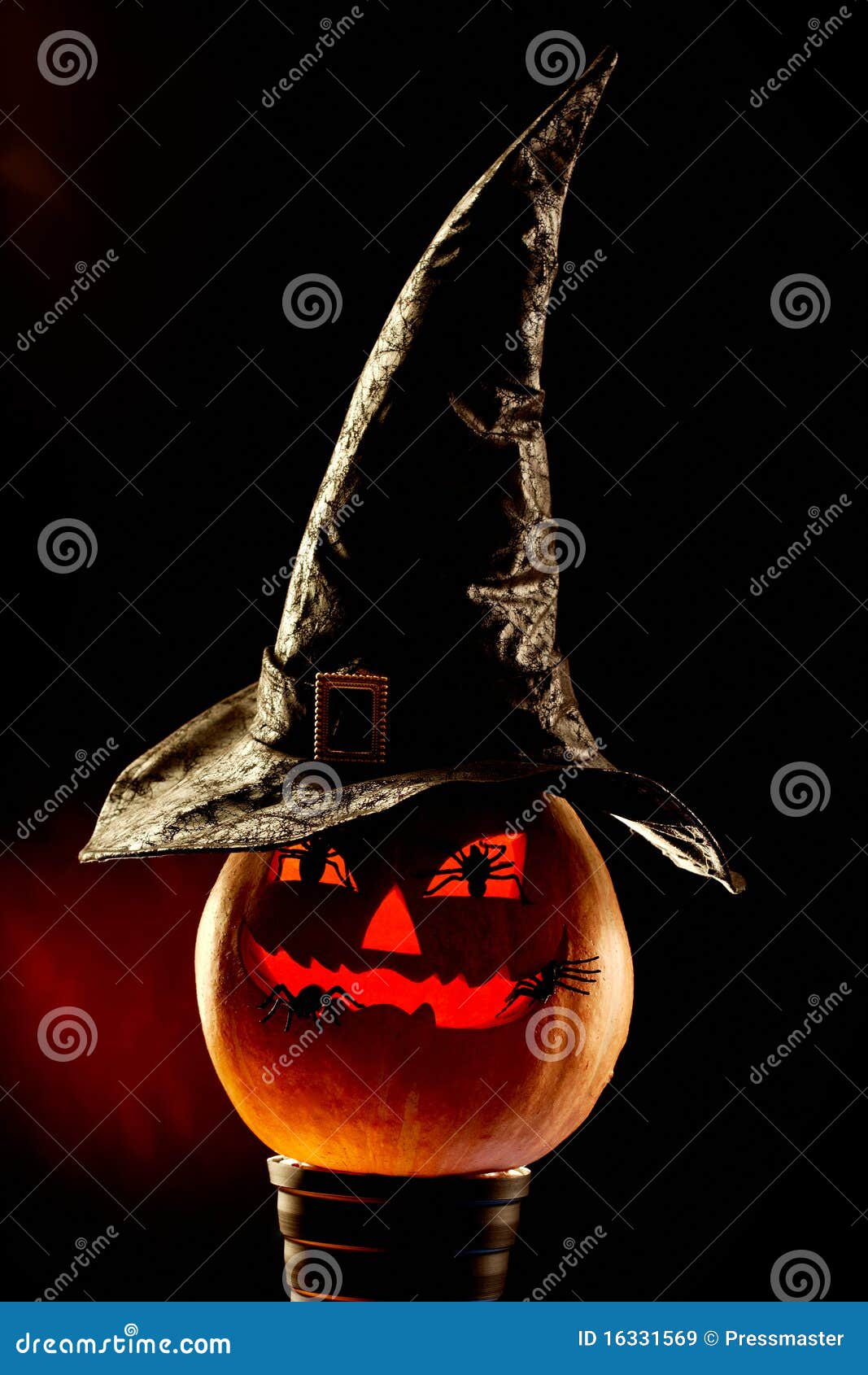 Halloween objects stock image. Image of pagan, arachnid - 16331569