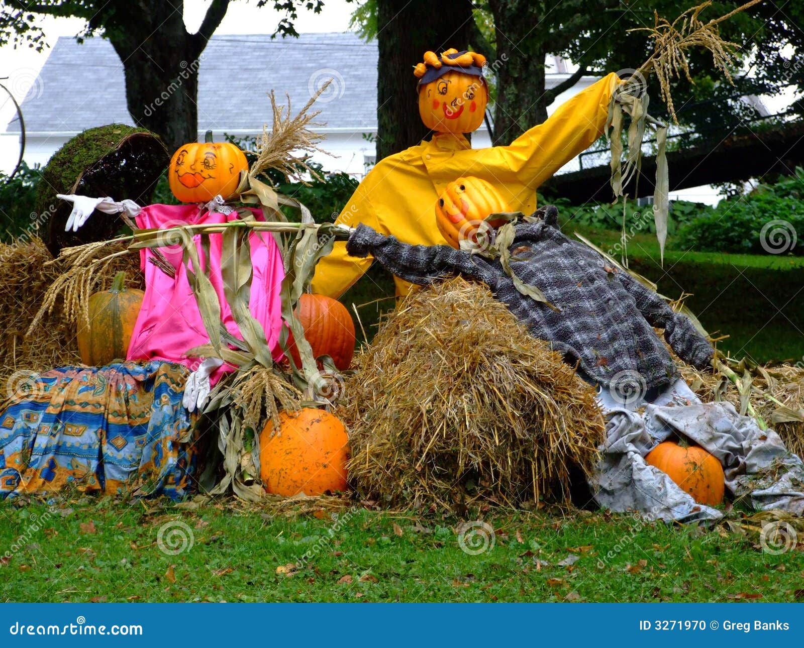 456 People Gourds Stock Photos - Free & Royalty-Free Stock Photos from ...