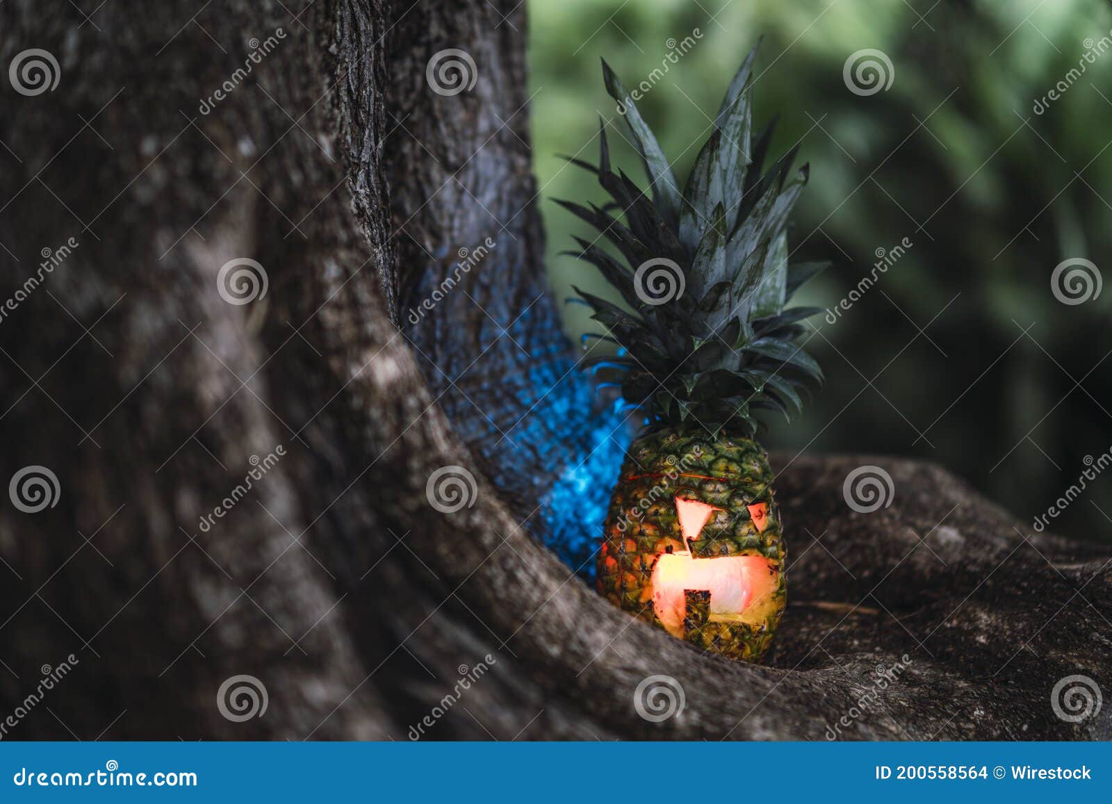Halloween Pineapple with a Scary Face on the Roots of a Tree Stock ...
