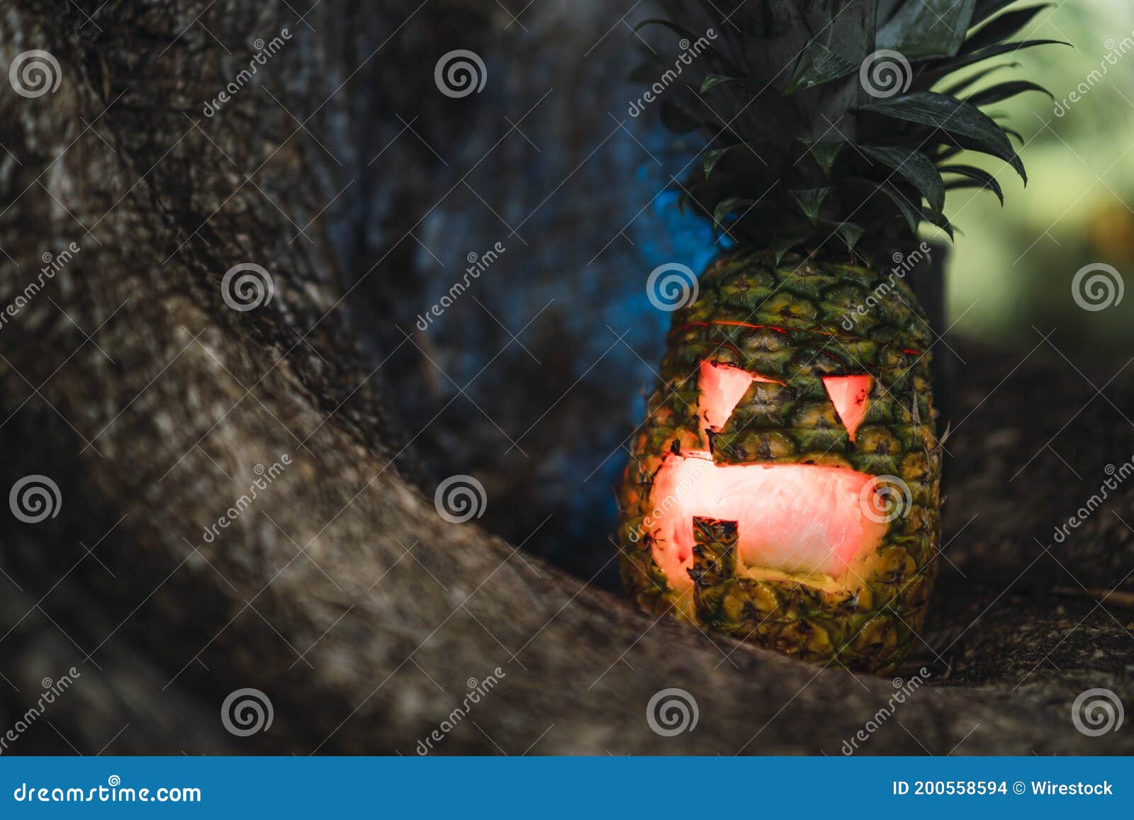 Halloween Pineapple with a Scary Face on the Roots of a Tree Stock ...