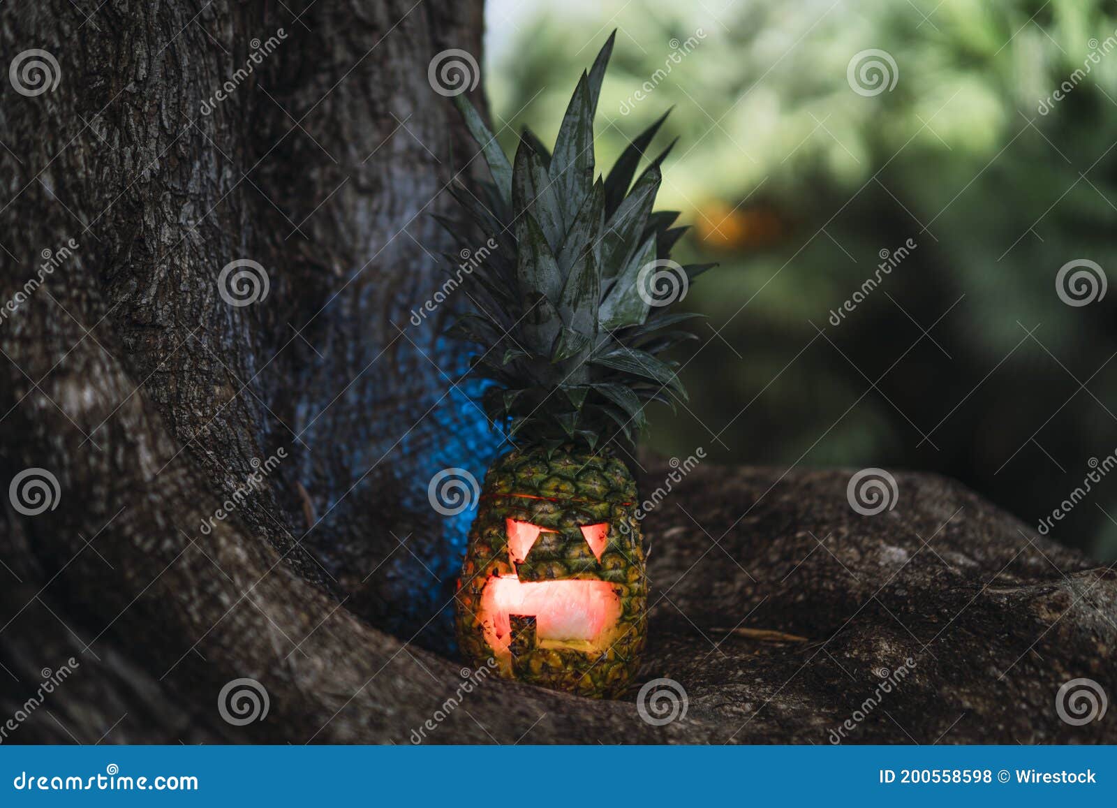 Halloween Pineapple with a Scary Face on the Roots of a Tree Stock ...