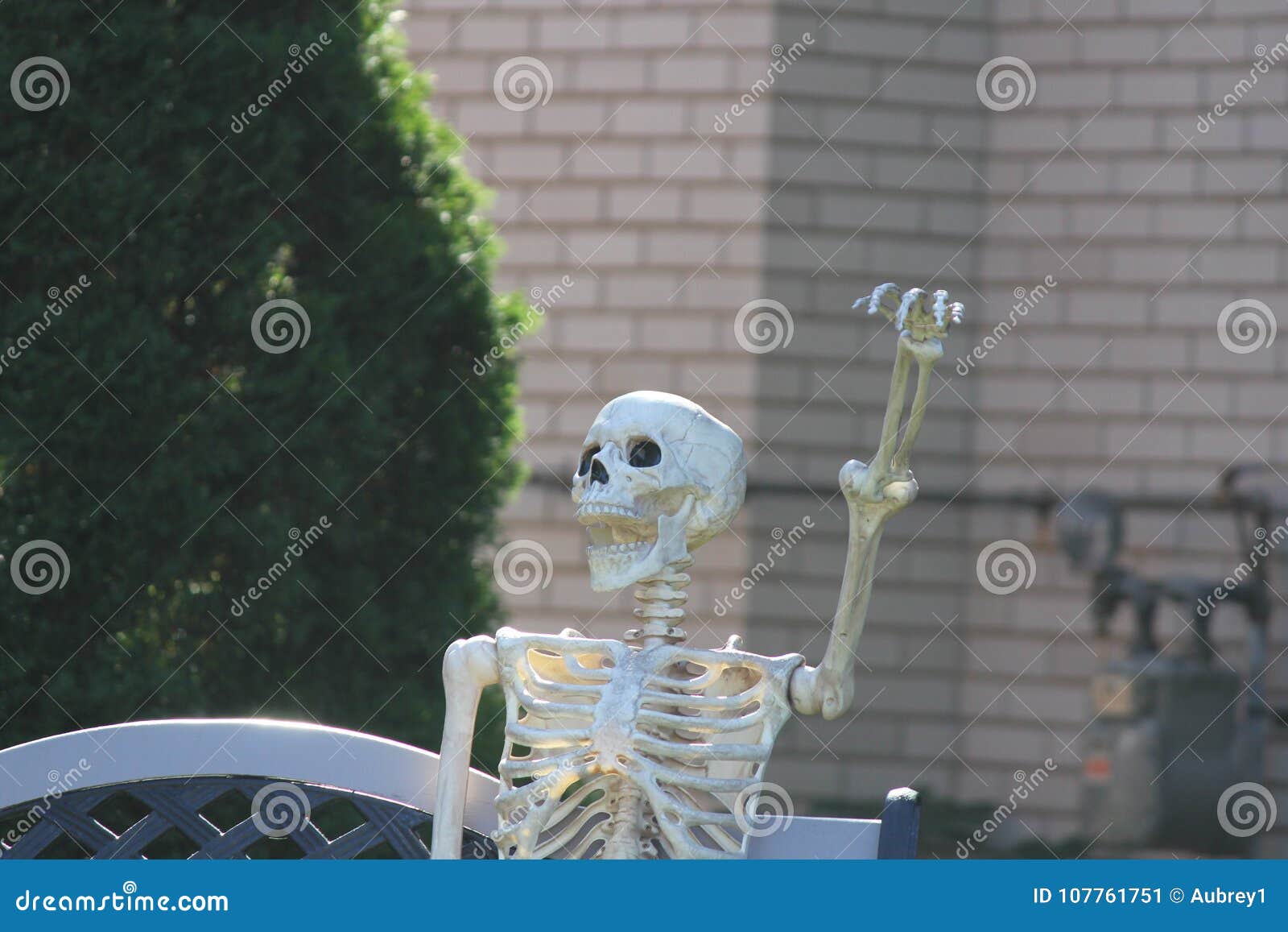 Skeleton Halloween Plastic stock image. Image of skeleton - 107761751