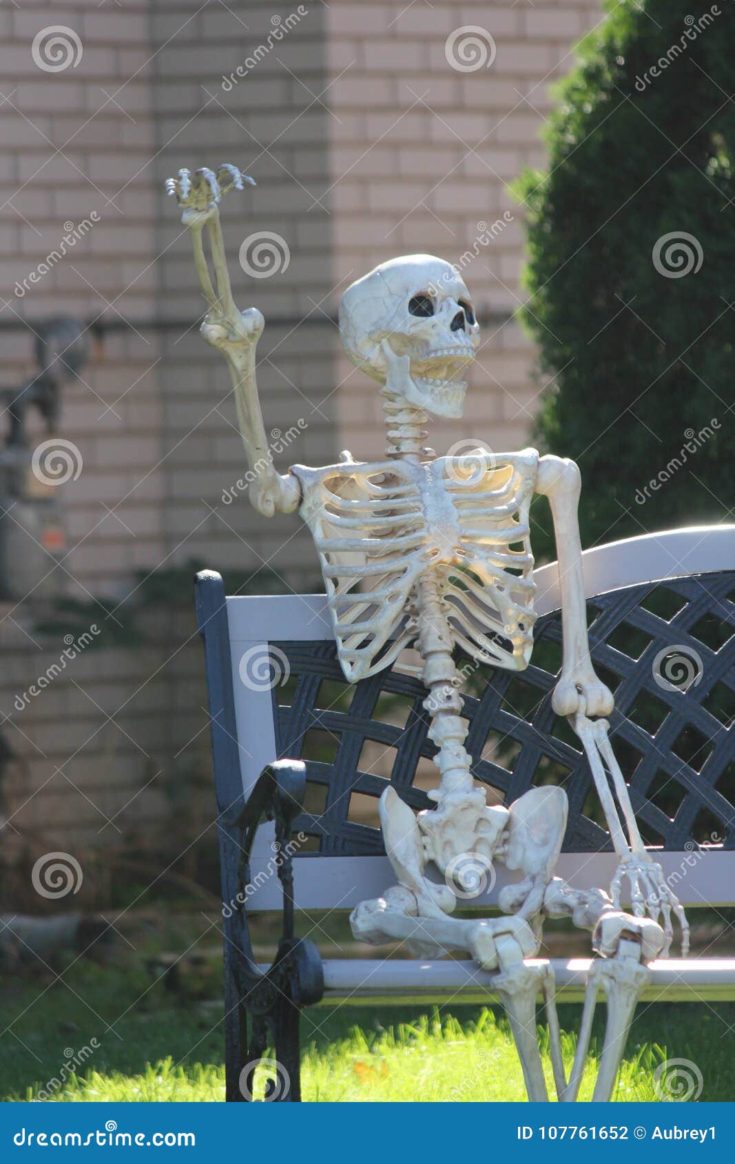 Skeleton Halloween Plastic stock photo. Image of symbol - 107761652