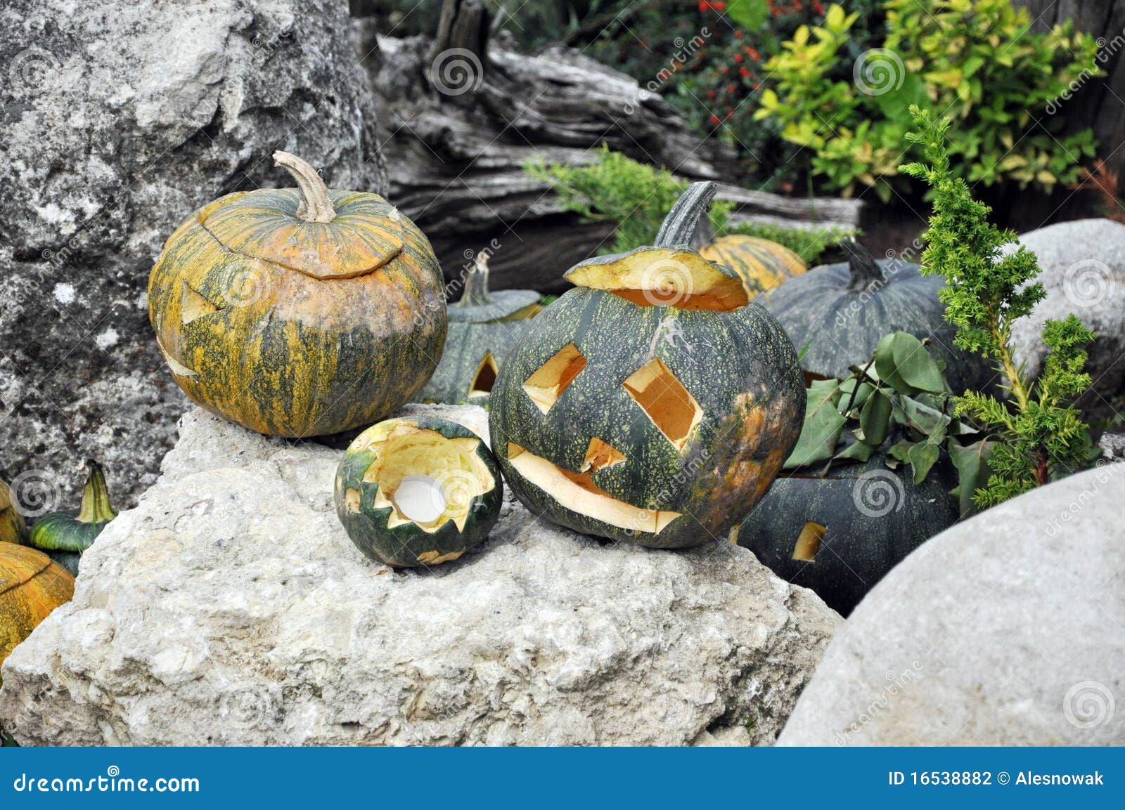 Halloween pumpa arkivfoto. Bild av fasa, ferier, klassiskt - 16538882