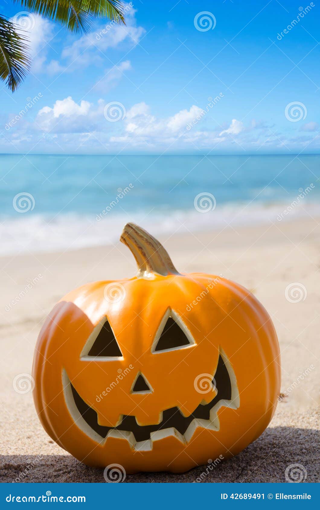 Halloween Pumpkin on the Beach Stock Image - Image of rock, orange ...