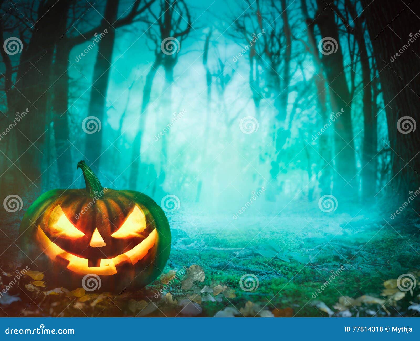 Pumpkin Forest Stock Illustrations – 11,666 Pumpkin Forest Stock ...