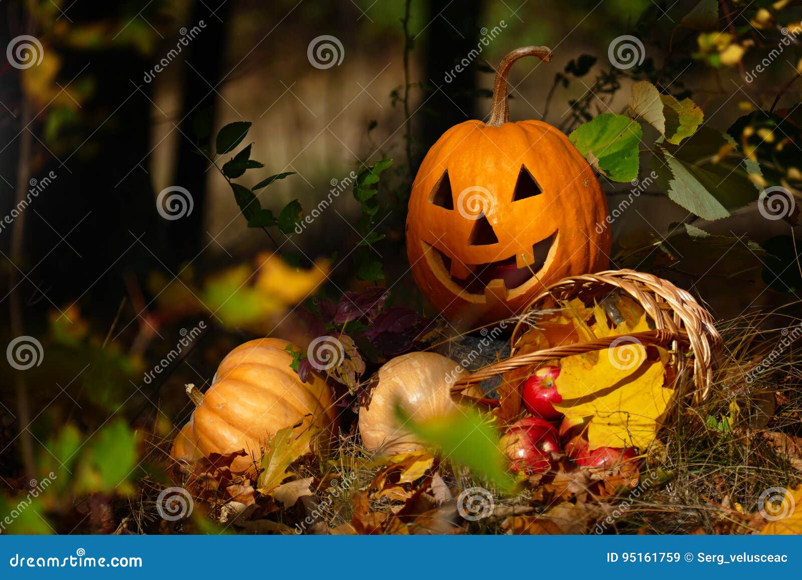 Halloween Pumpkin in the Forest Stock Image - Image of autumn, forest ...