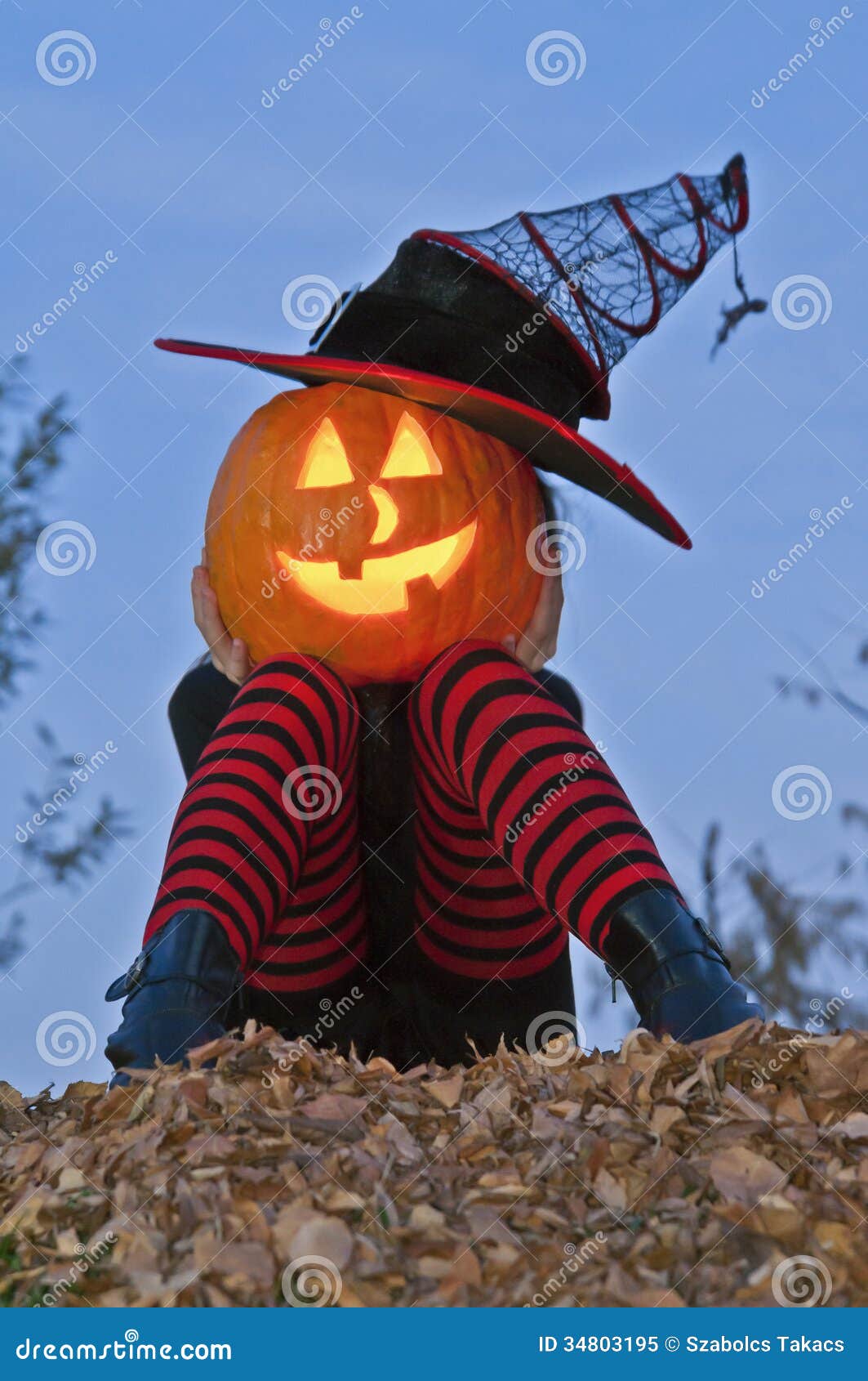 Halloween Pumpkin Head Witch Royalty Free Stock Photo - Image: 34803195